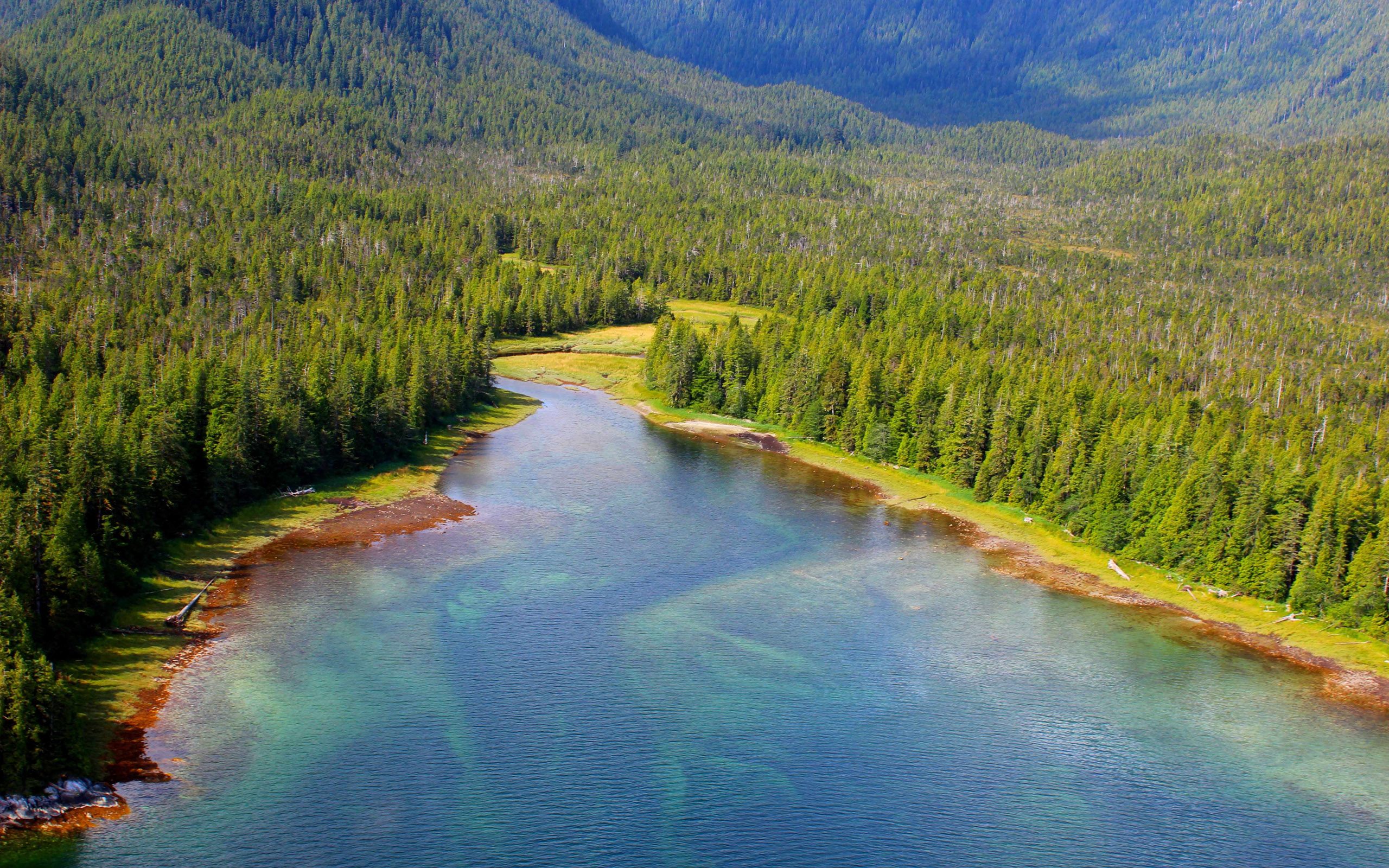 Download Nature River HD Wallpaper