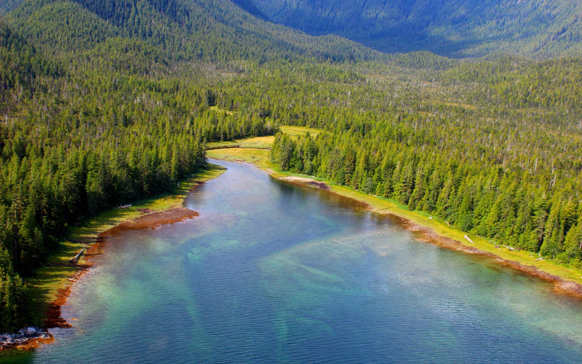 Download Nature River HD Wallpaper