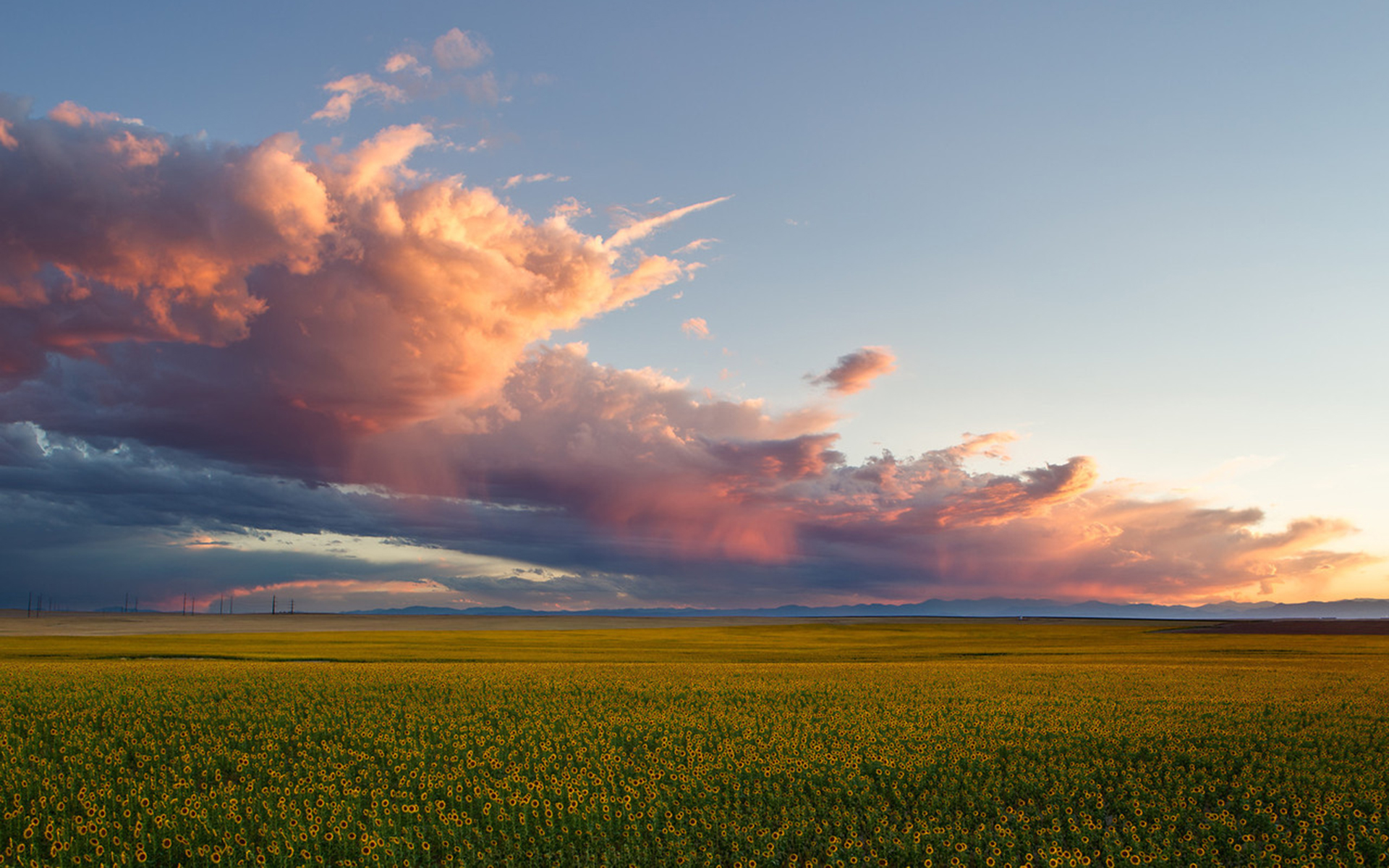 HD Nature Escape: Vast Landscape Beneath a Painted Sky