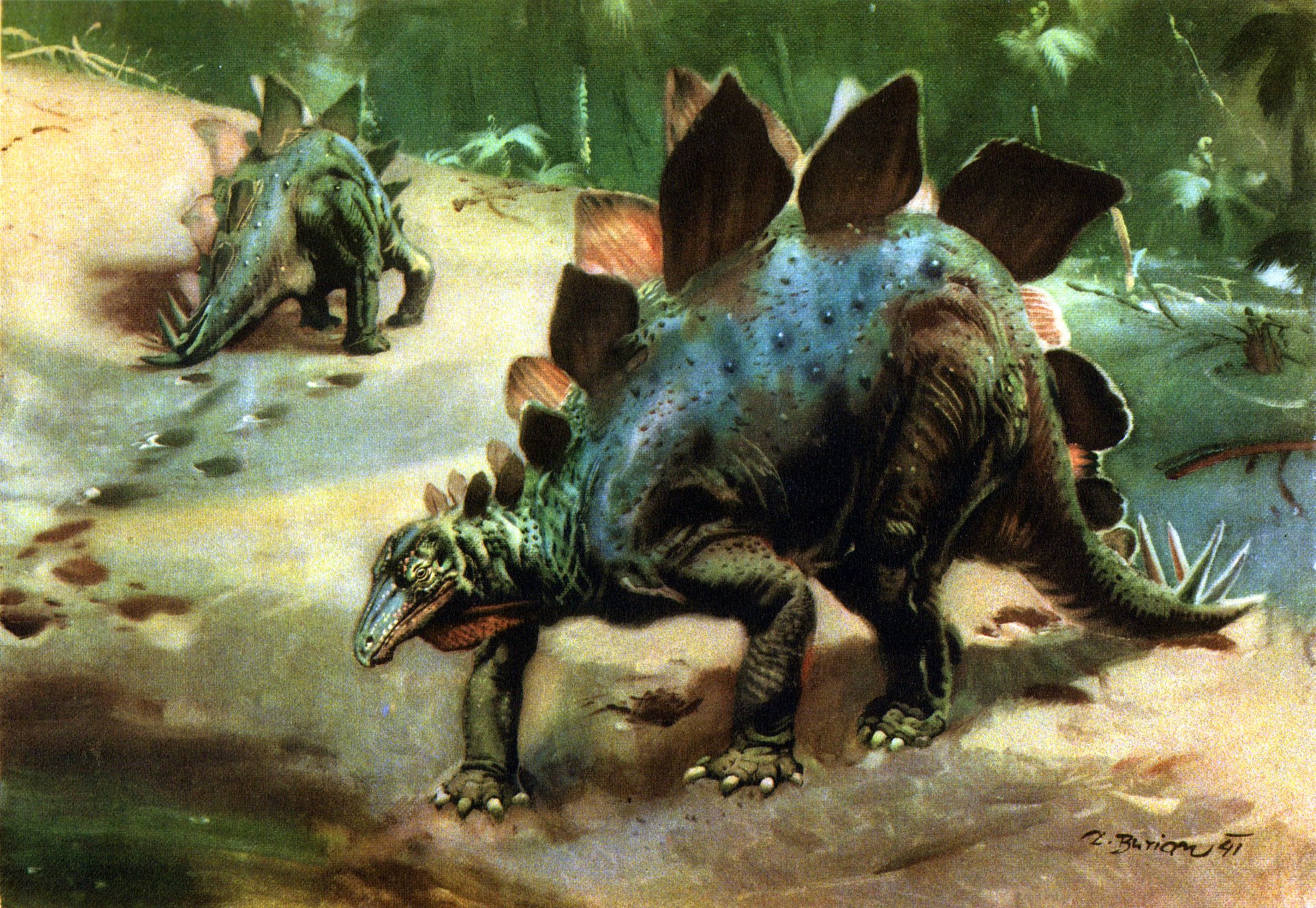 Stegosaurus Vista 2K Quad HD Wallpaper 3620x2498 Wallpaper Abyss