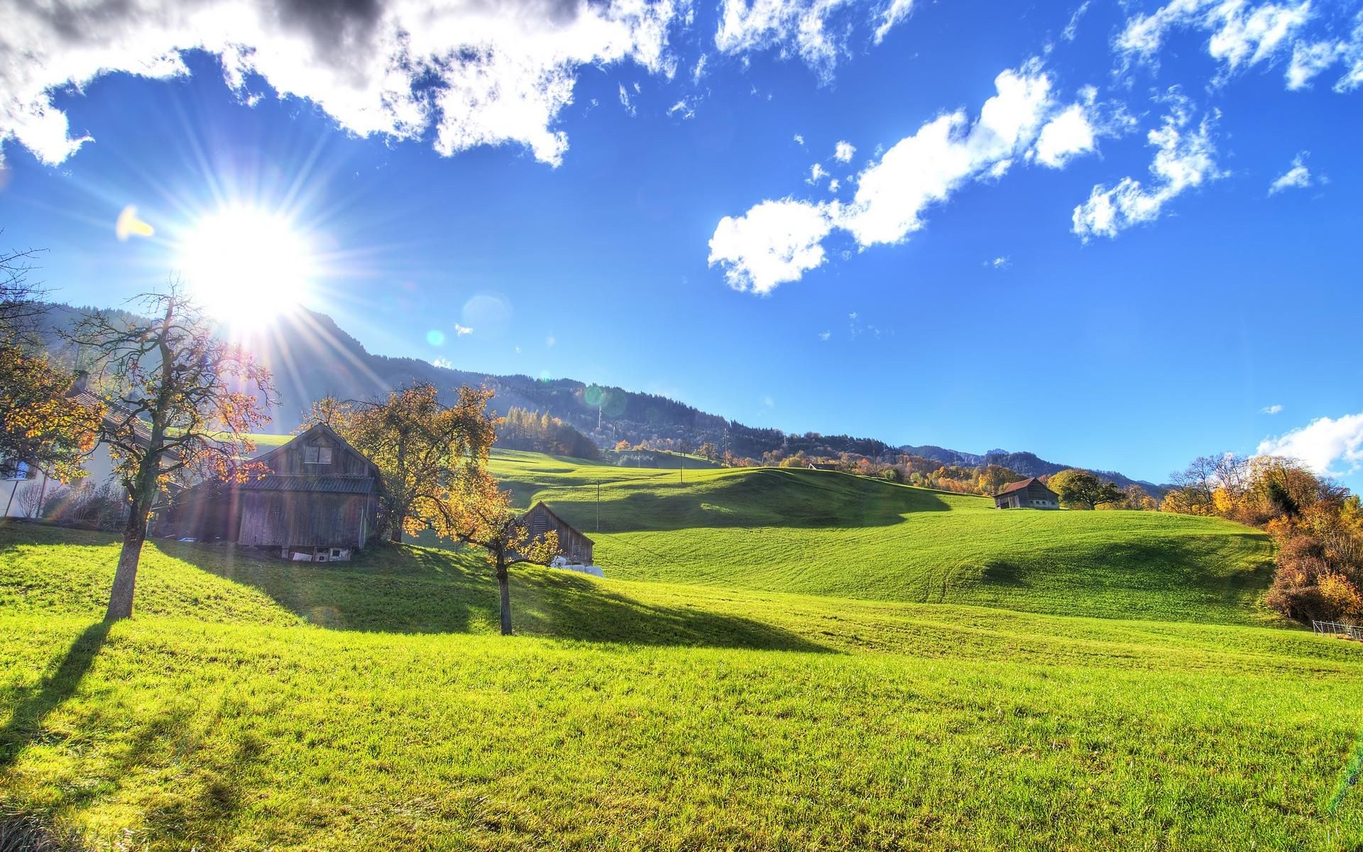 Serene Landscape: HD Wallpaper for Nature Lovers