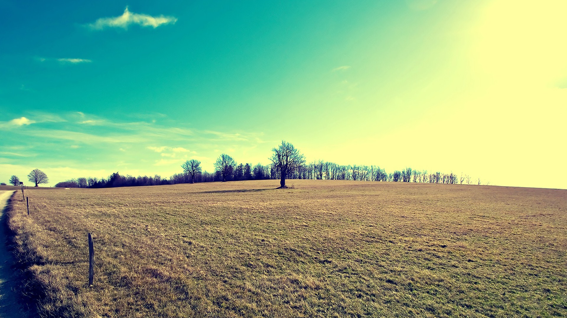 Download Nature Field HD Wallpaper