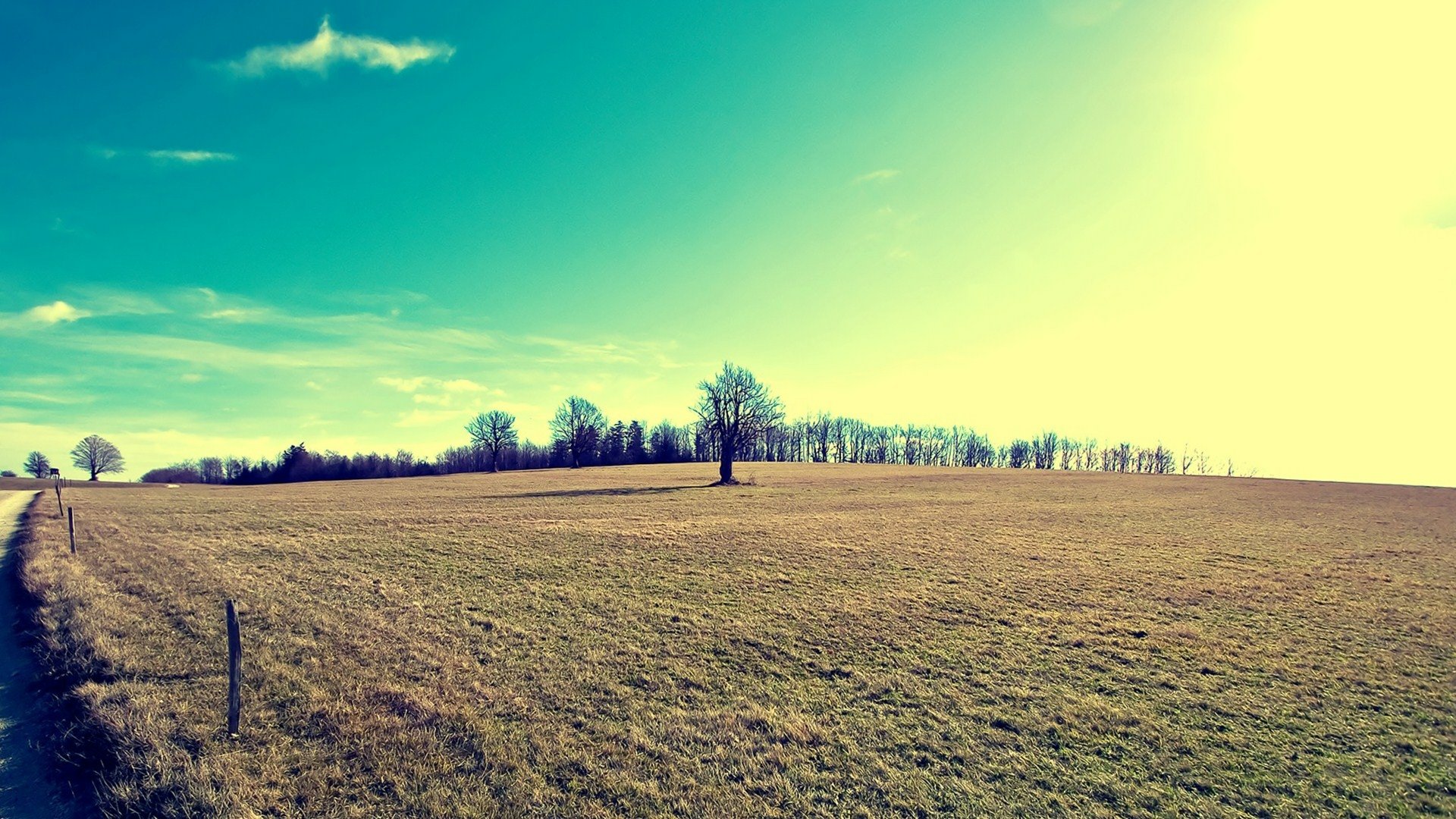 Download Nature Field HD Wallpaper