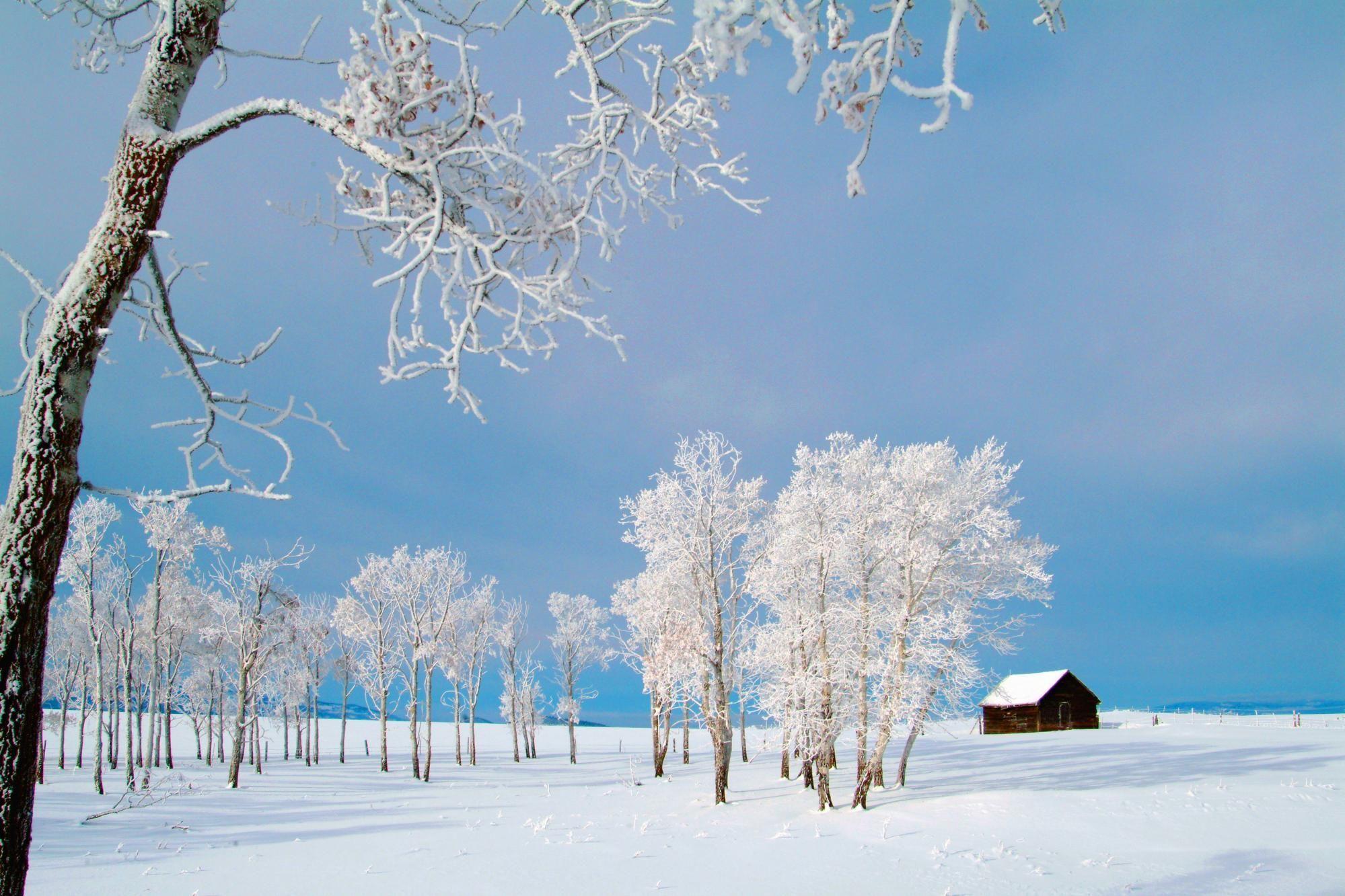 Download Nature Winter HD Wallpaper