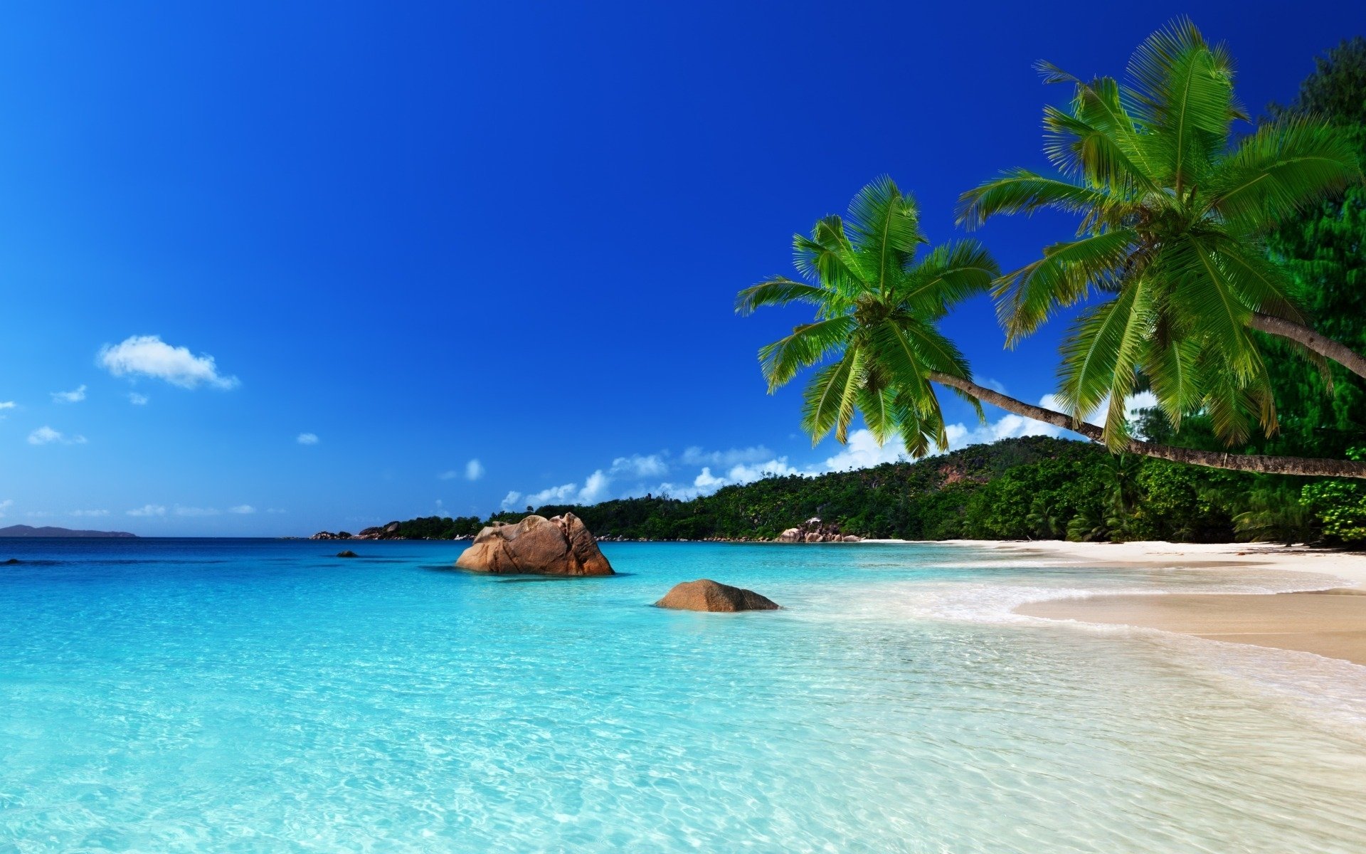 Tropisch HD Wallpaper Achtergrond 1920x1200 ID 475967 Wallpaper