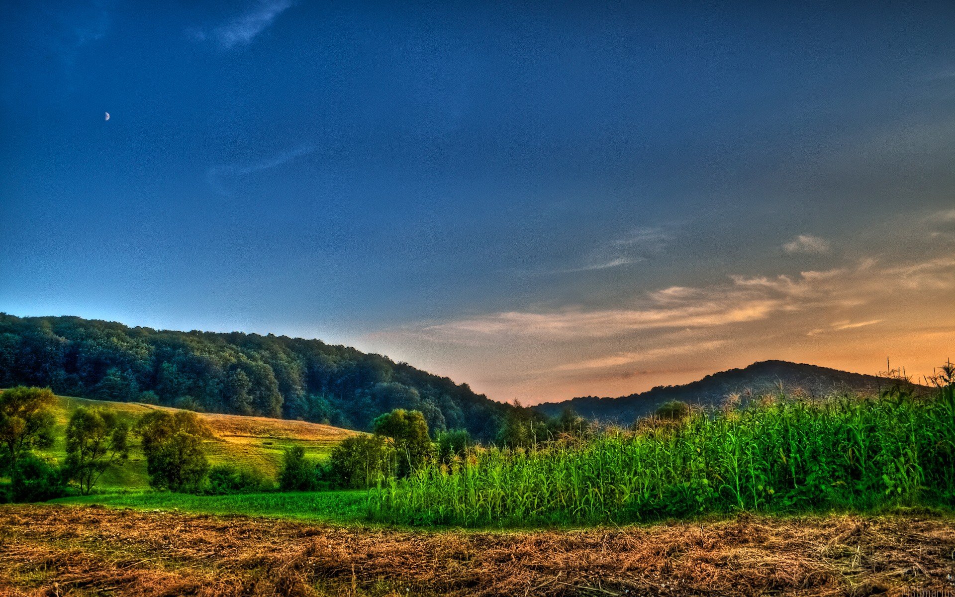 Download Nature Field HD Wallpaper