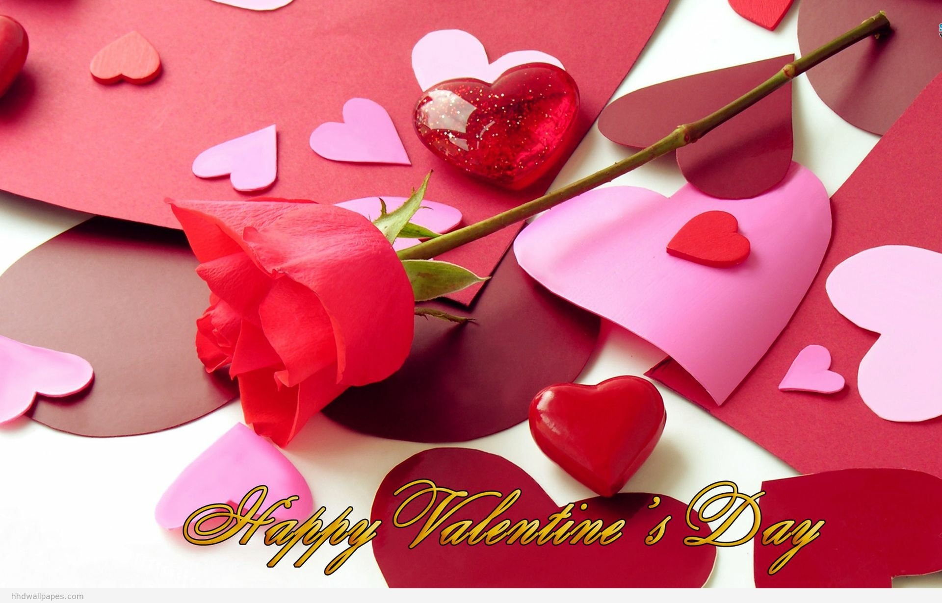 Valentine’s Day HD Wallpaper: A Romantic Holiday Blossom