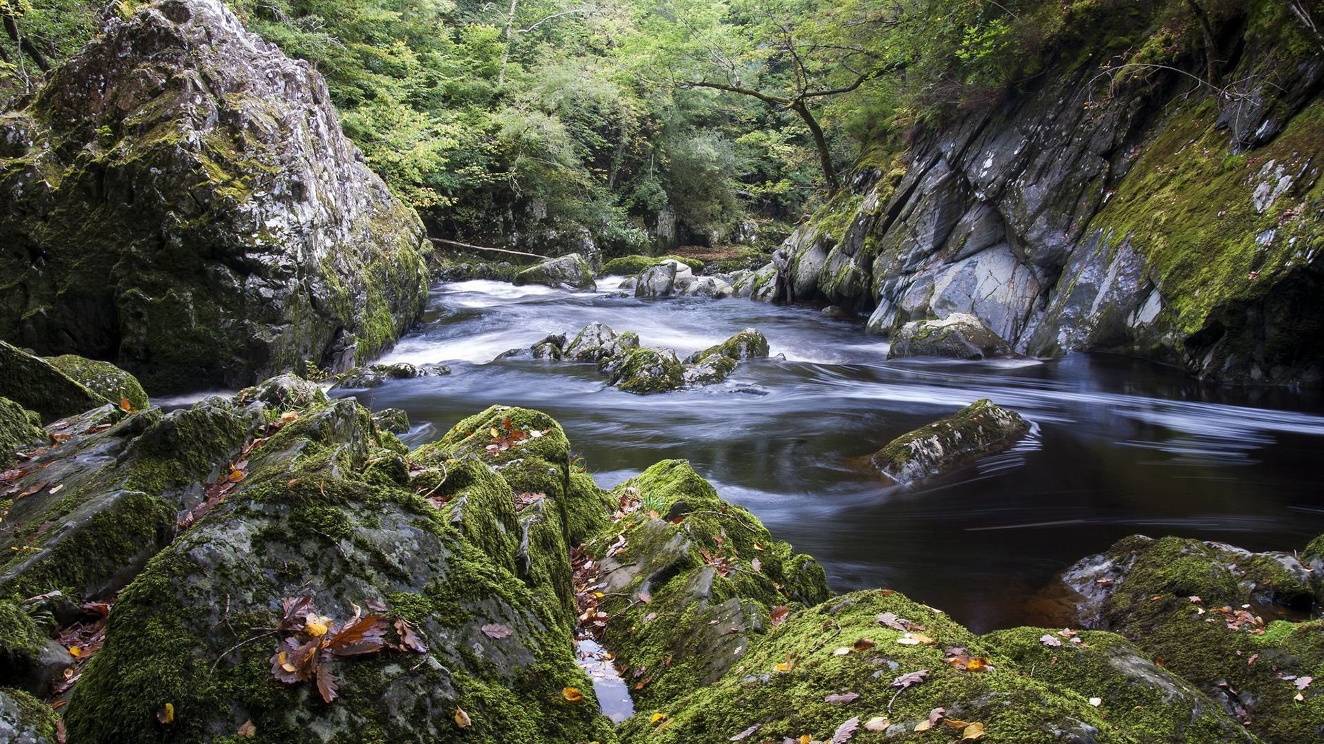 Download Nature Stream HD Wallpaper