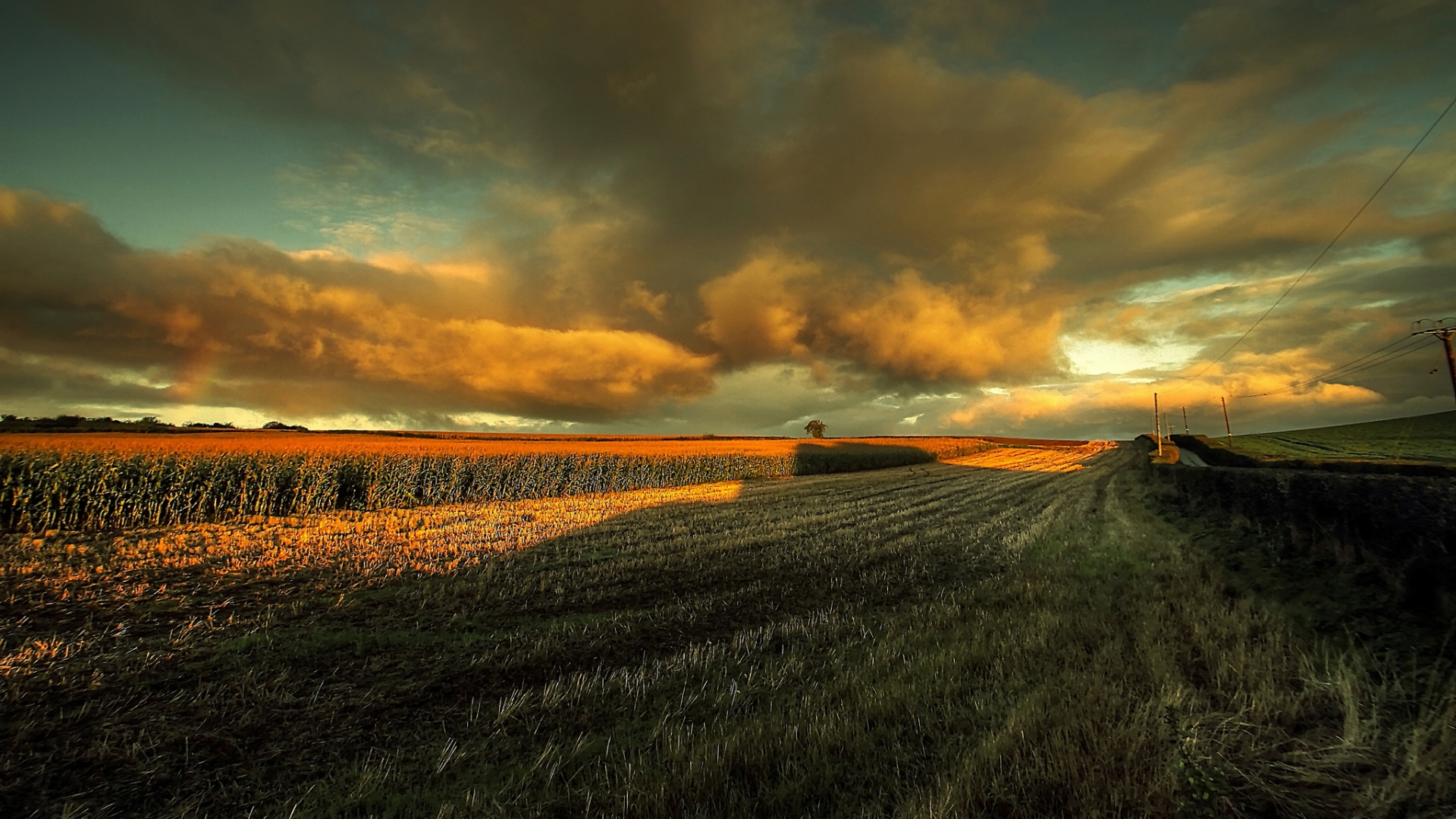 Golden Horizon: Stunning HD Clouds Over Serene Nature Field