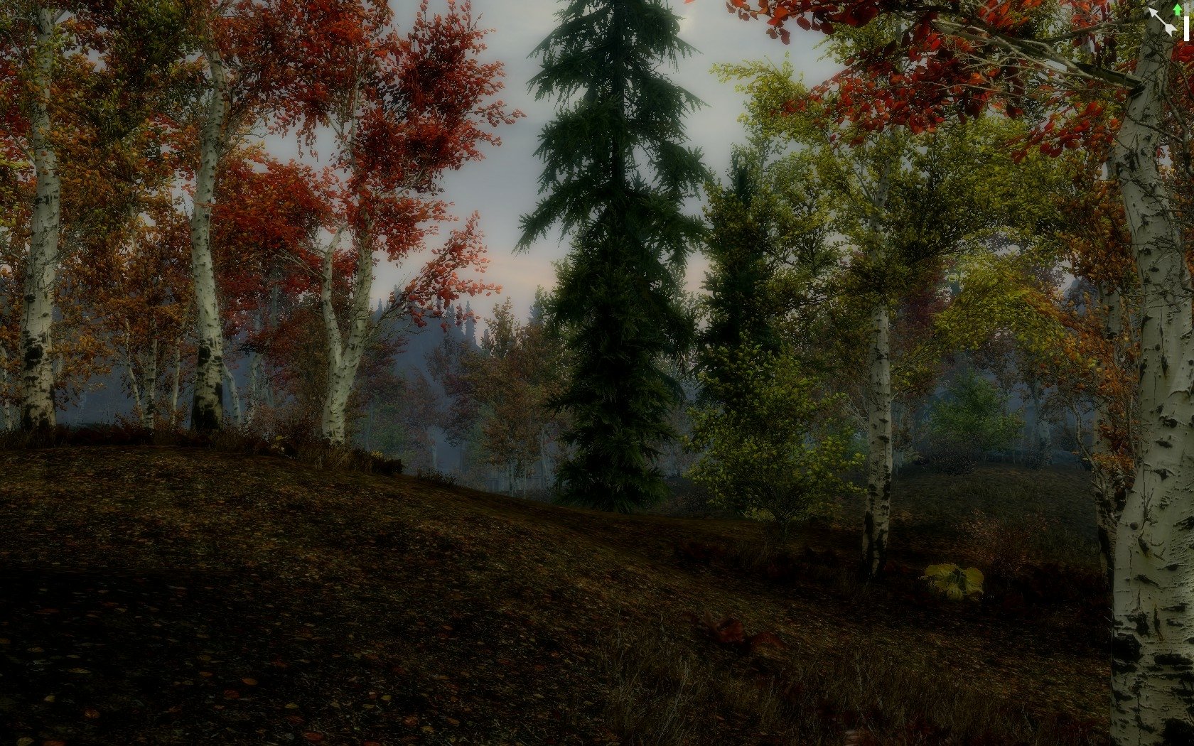 Rift by frostfallzed