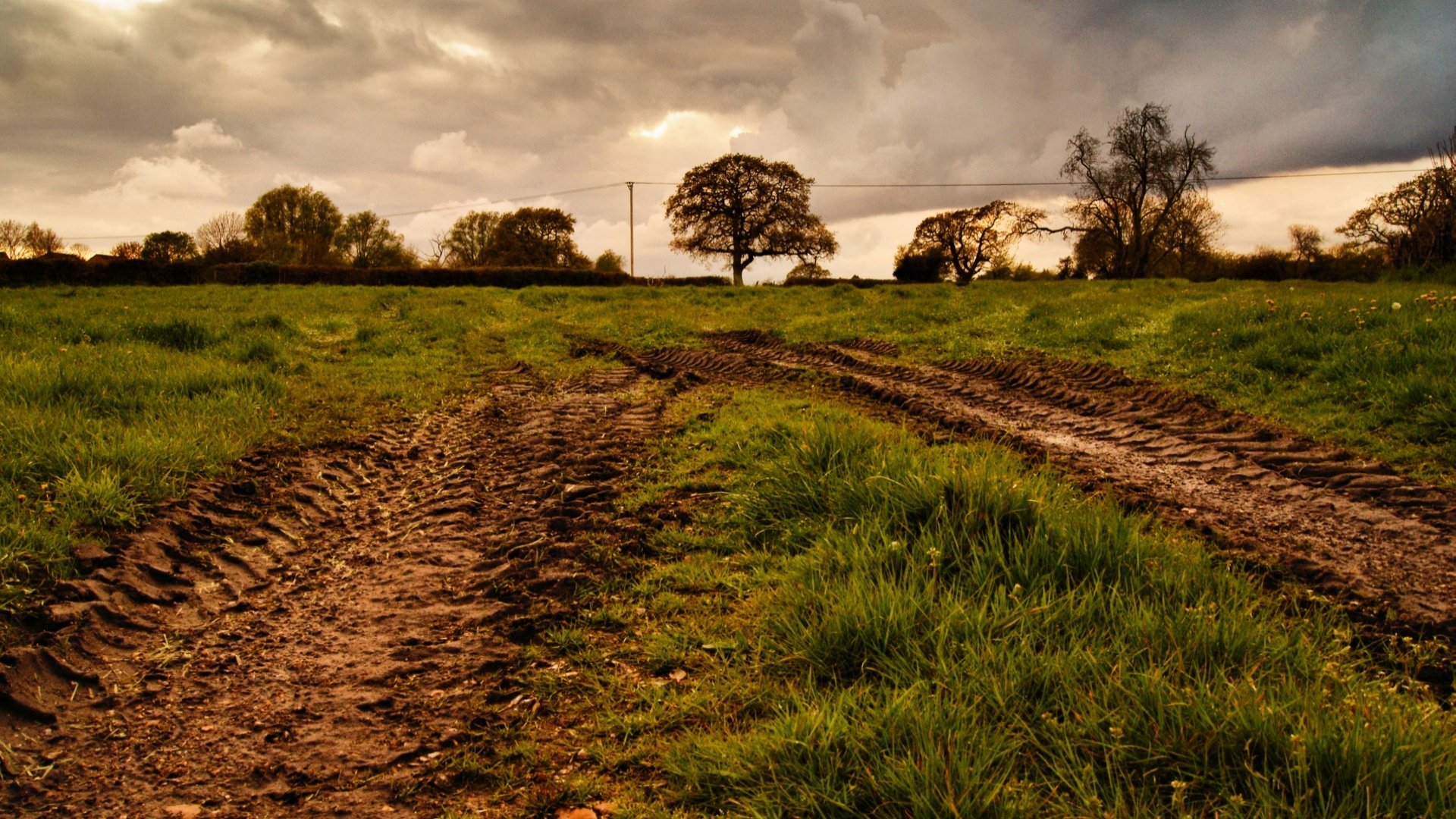 Download Nature Muddy Field HD Wallpaper