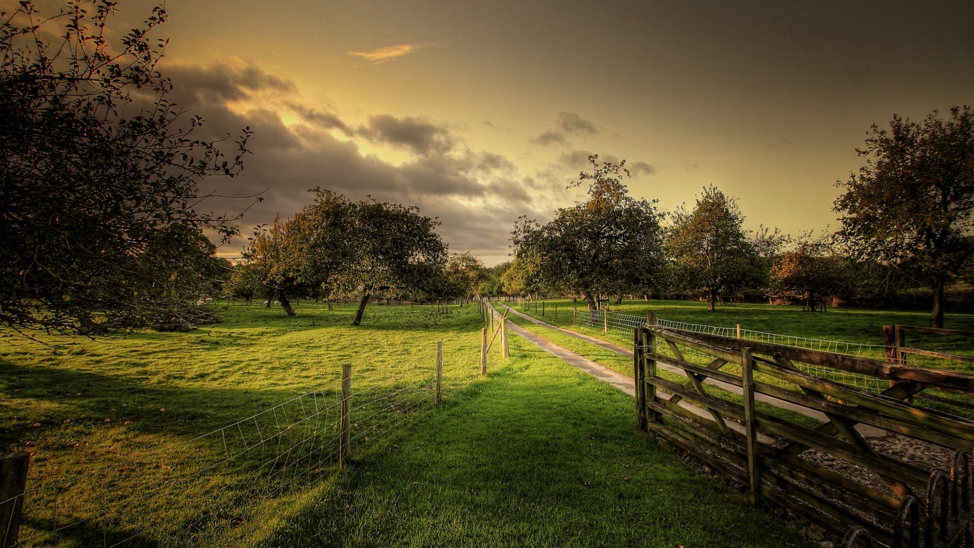 Download Man Made Fence HD Wallpaper