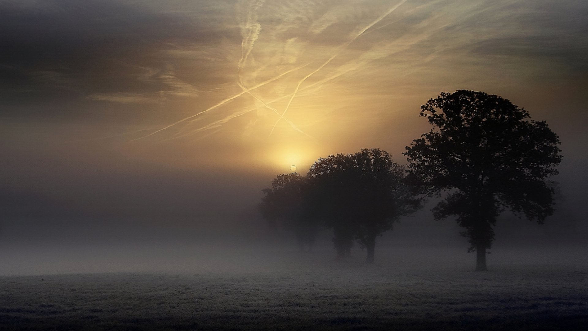 Download Nature Fog HD Wallpaper