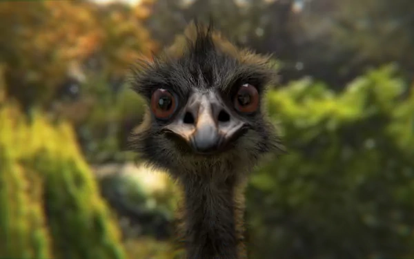 [10+] Emu Wallpapers