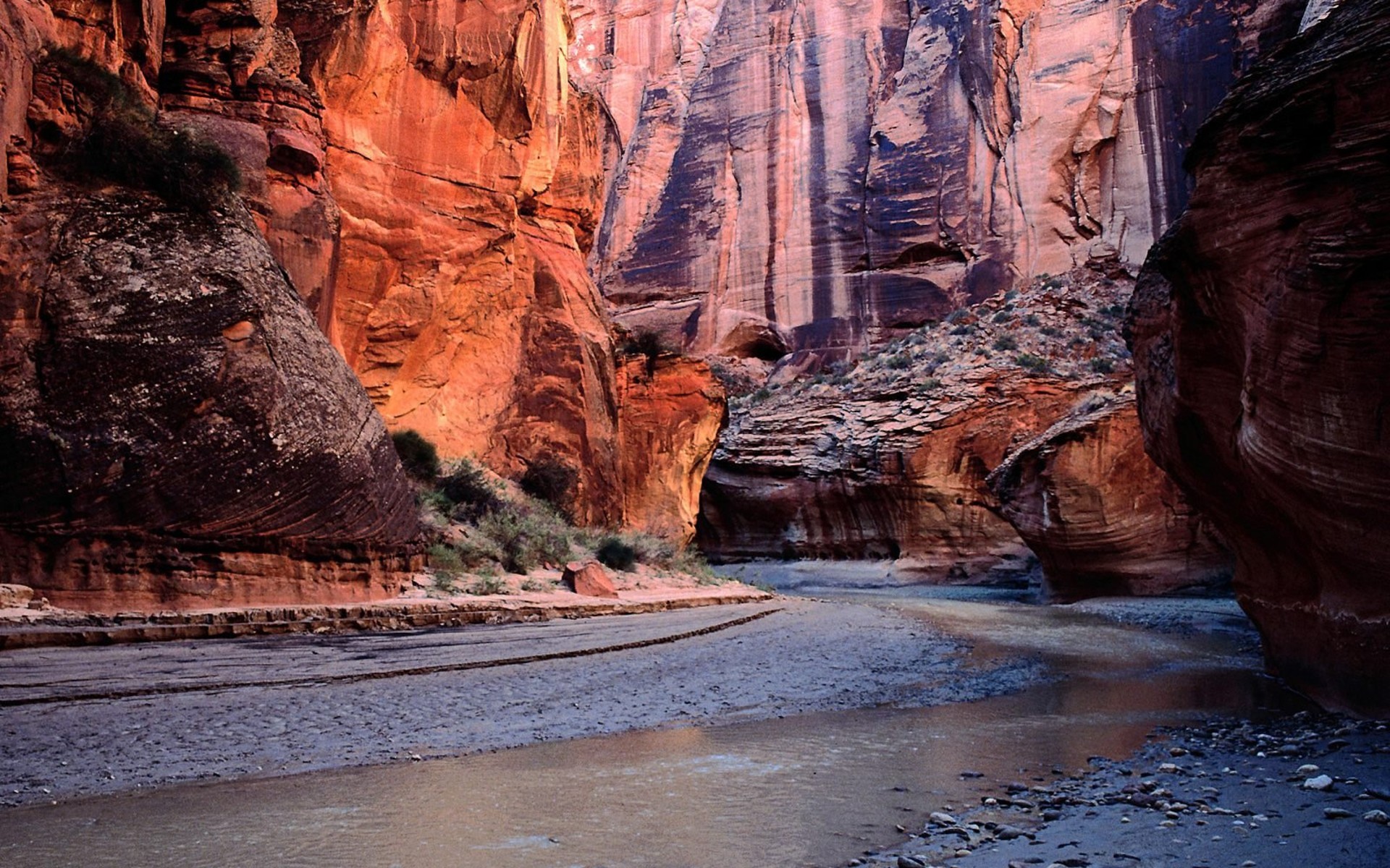 Download Nature Canyon HD Wallpaper