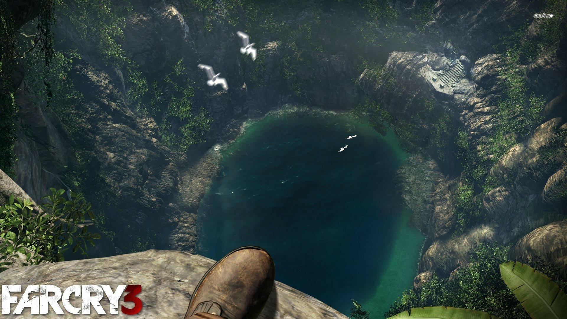 Far Cry 3 HD: Epic Jungle Vista Wallpaper | 1920x1080 | Wallpaper Abyss