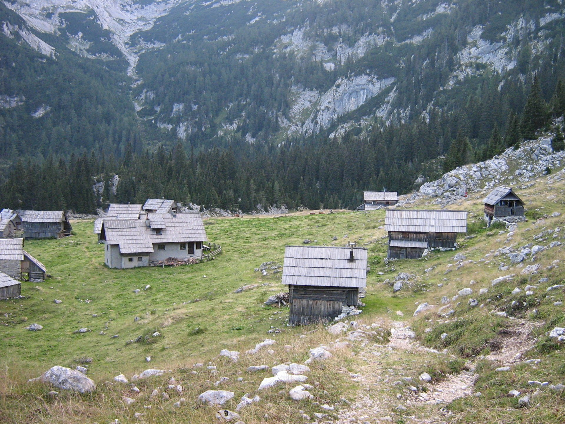 landscape by AlphaSystem