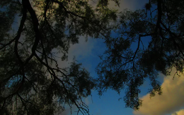 [1700+] Cloud 4k Wallpapers