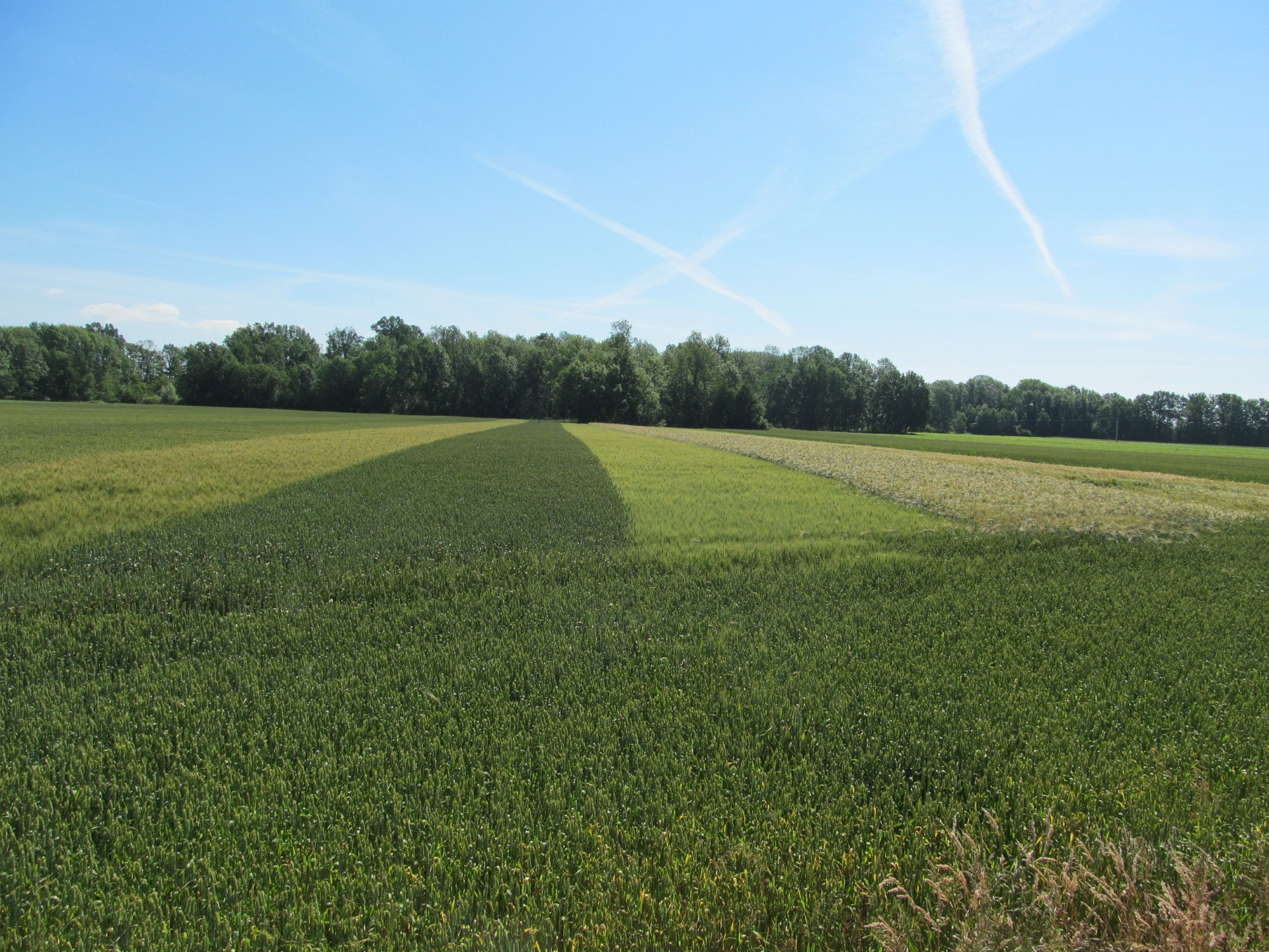 landscape by AlphaSystem