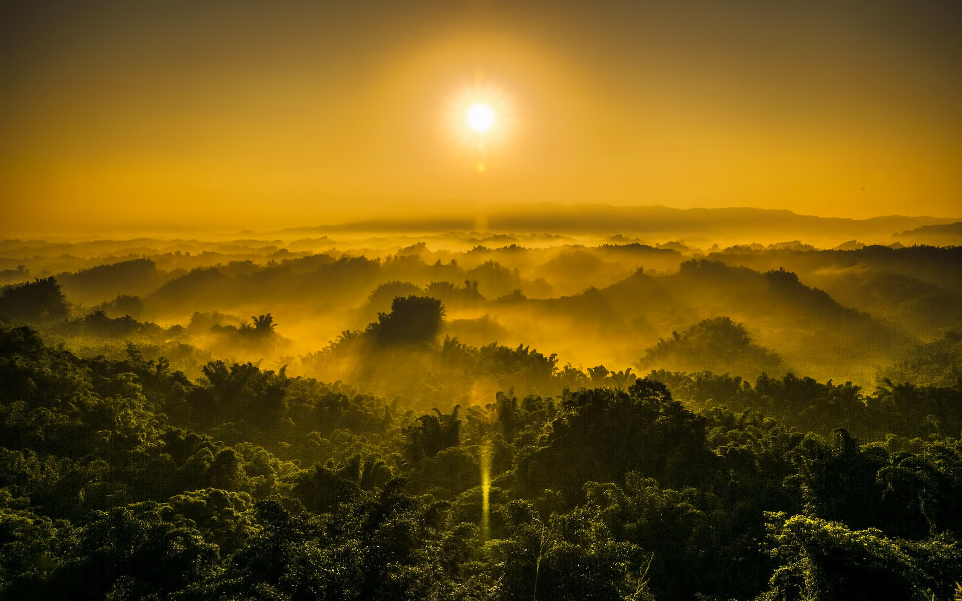 Golden Sunbeam Over Lush Nature – Stunning HD Wallpaper