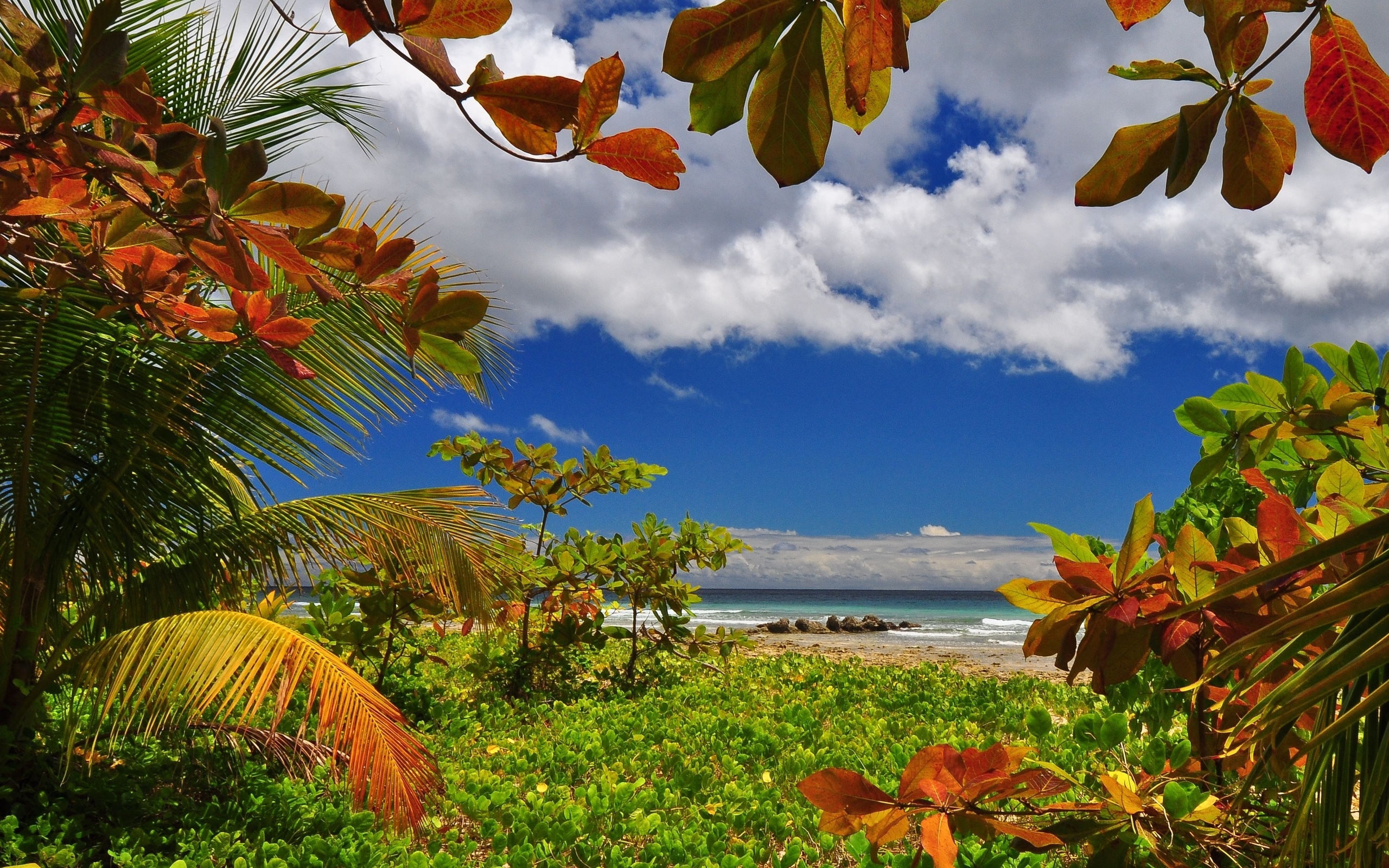 Download Nature Island HD Wallpaper