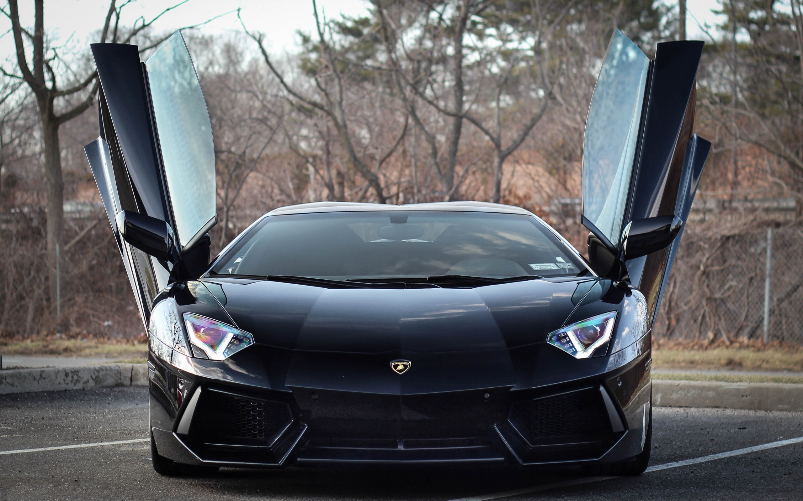 Lamborghini With Butterfly Doors Wallpaper