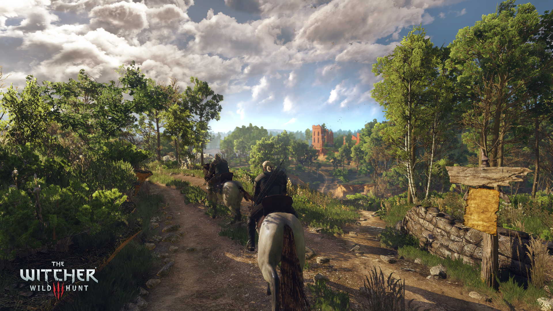 Download The Witcher Video Game The Witcher 3: Wild Hunt HD Wallpaper