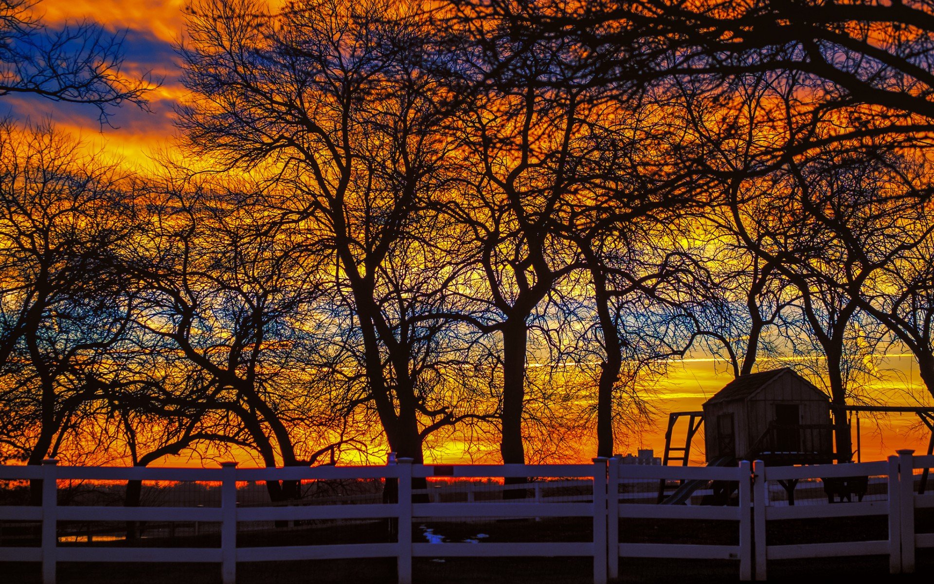 Sunset Silhouettes: Fence, Trees & Building in Stunning HD Wallpaper