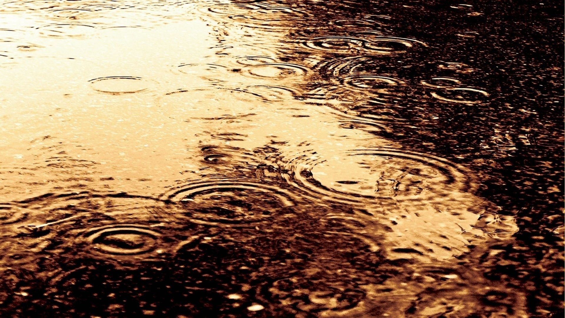 Serene Rain Reflections | HD Wallpaper