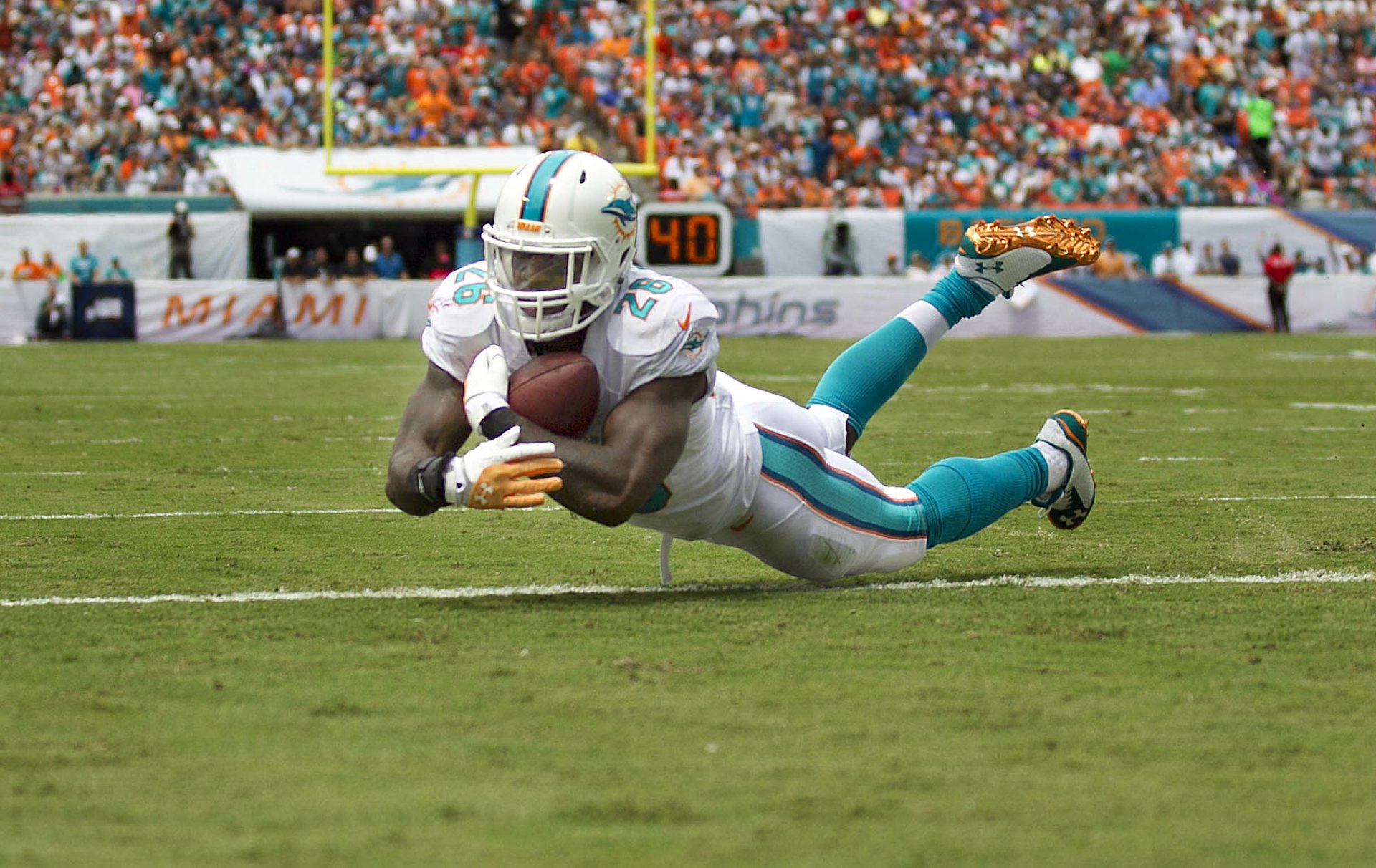 Miami Dolphins HD Wallpaper