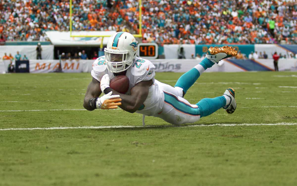 [50+] Miami Dolphins Wallpapers