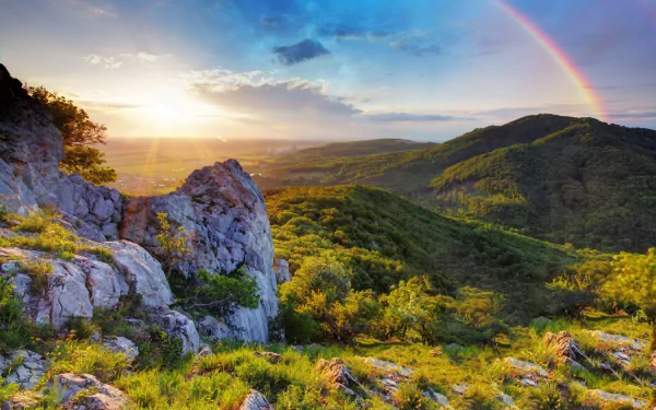 [60+] Sunshine 4k Wallpapers