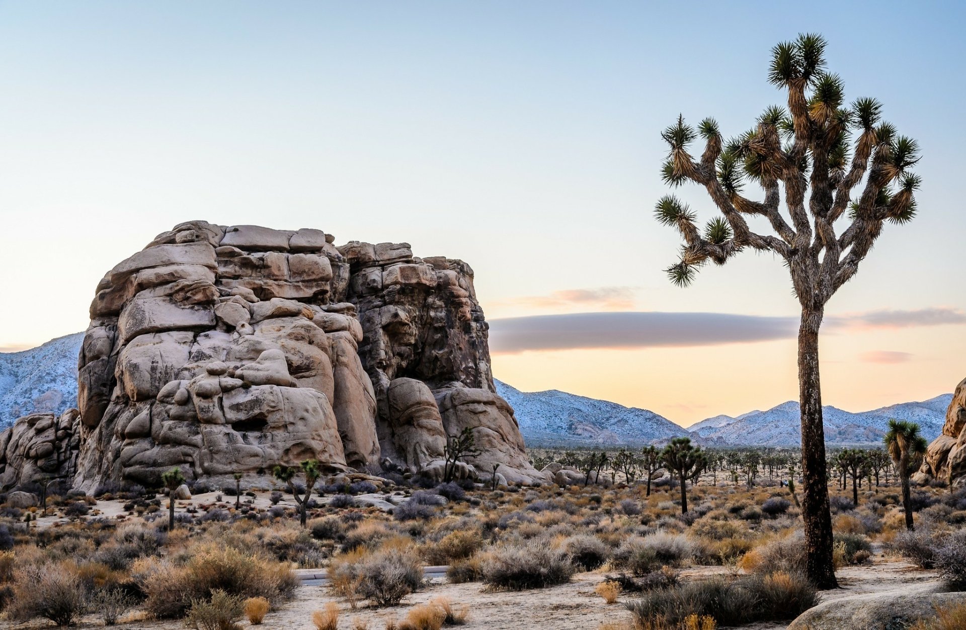 Download Cliff Nature Desert HD Wallpaper