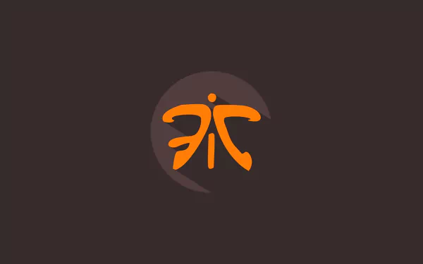 Download Gaming Team Esports Video Game Fnatic 4k Ultra HD Wallpaper