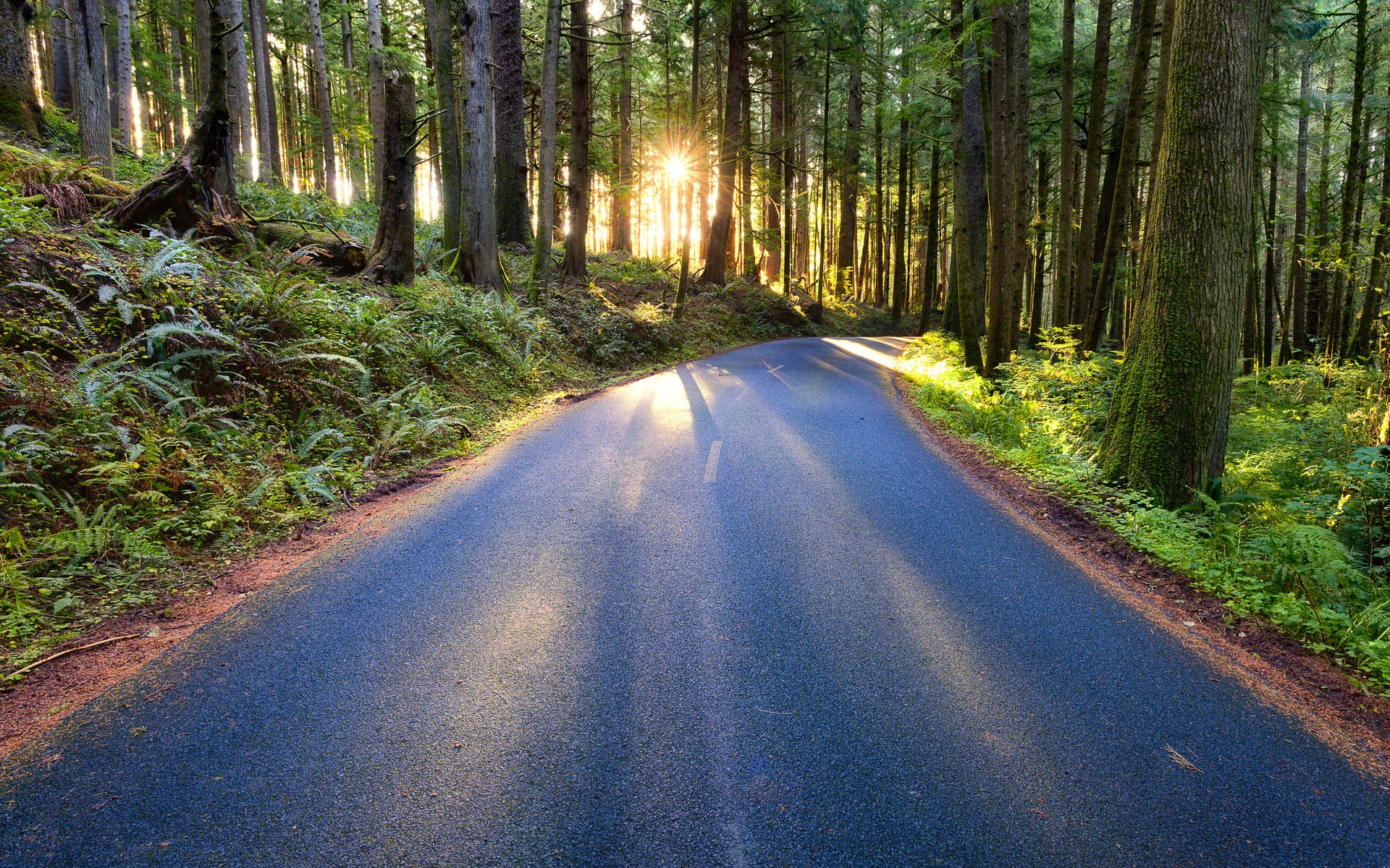 Download Man Made Road HD Wallpaper | 1920x1200 | Wallpaper Abyss