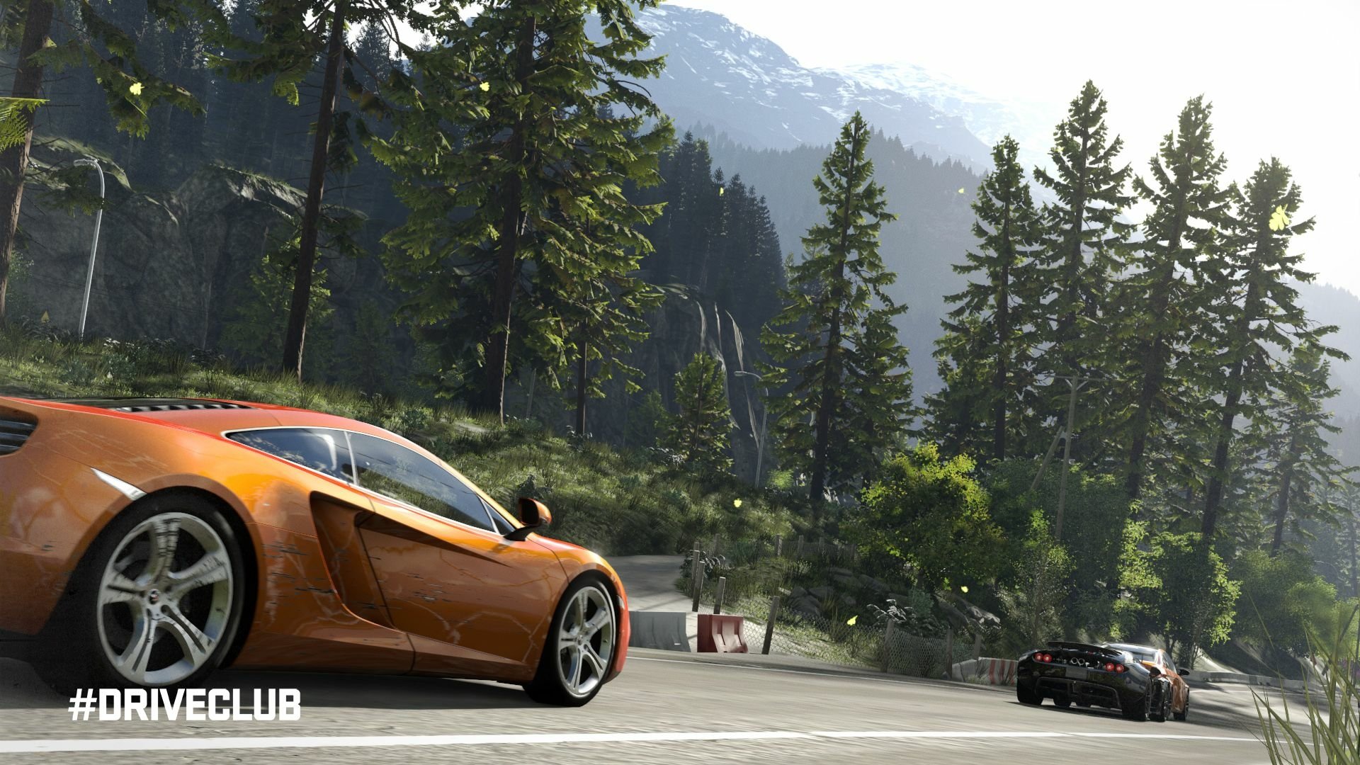 Driveclub HD Wallpaper — Alpine Forest Run