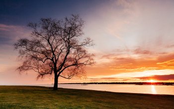 Nature - A Gallery By: samim_hasan At Alpha Coders