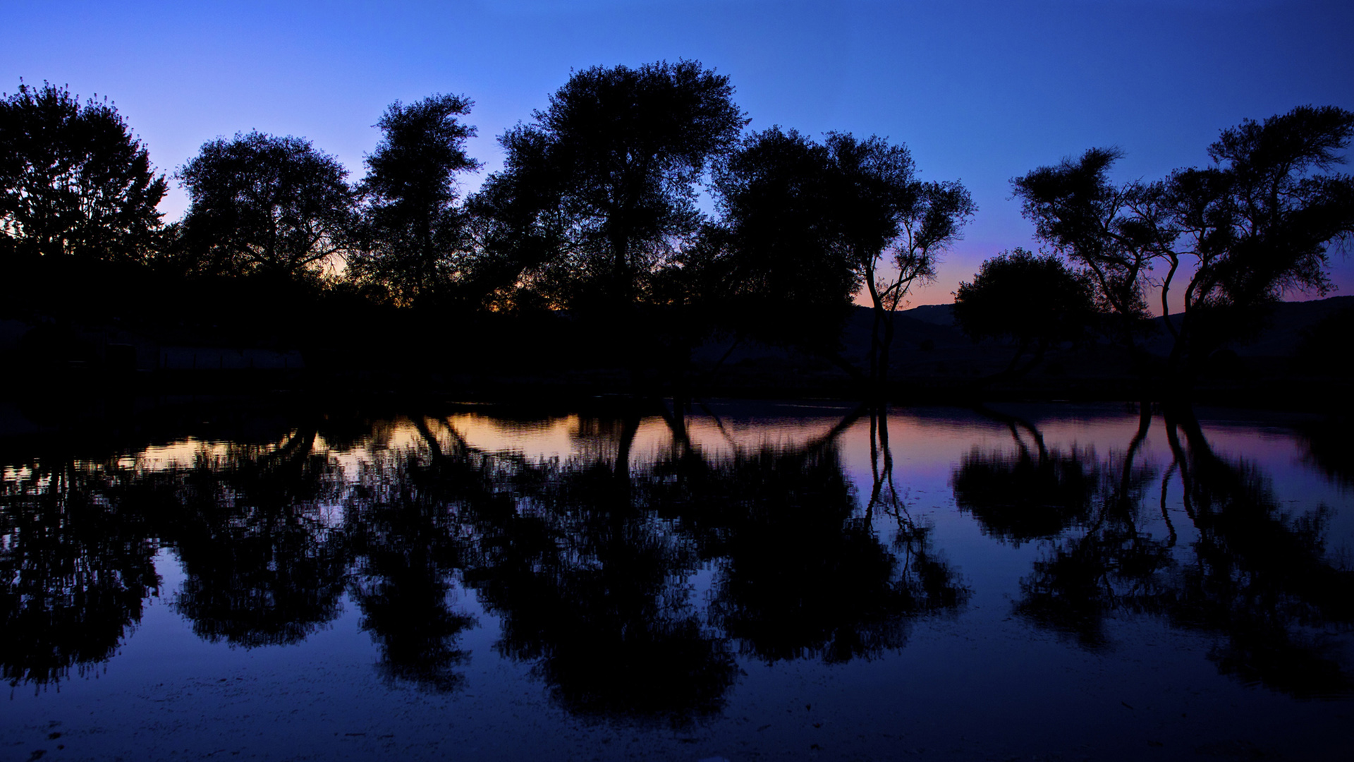Download Nature Reflection HD Wallpaper by Erno James Gyetvai