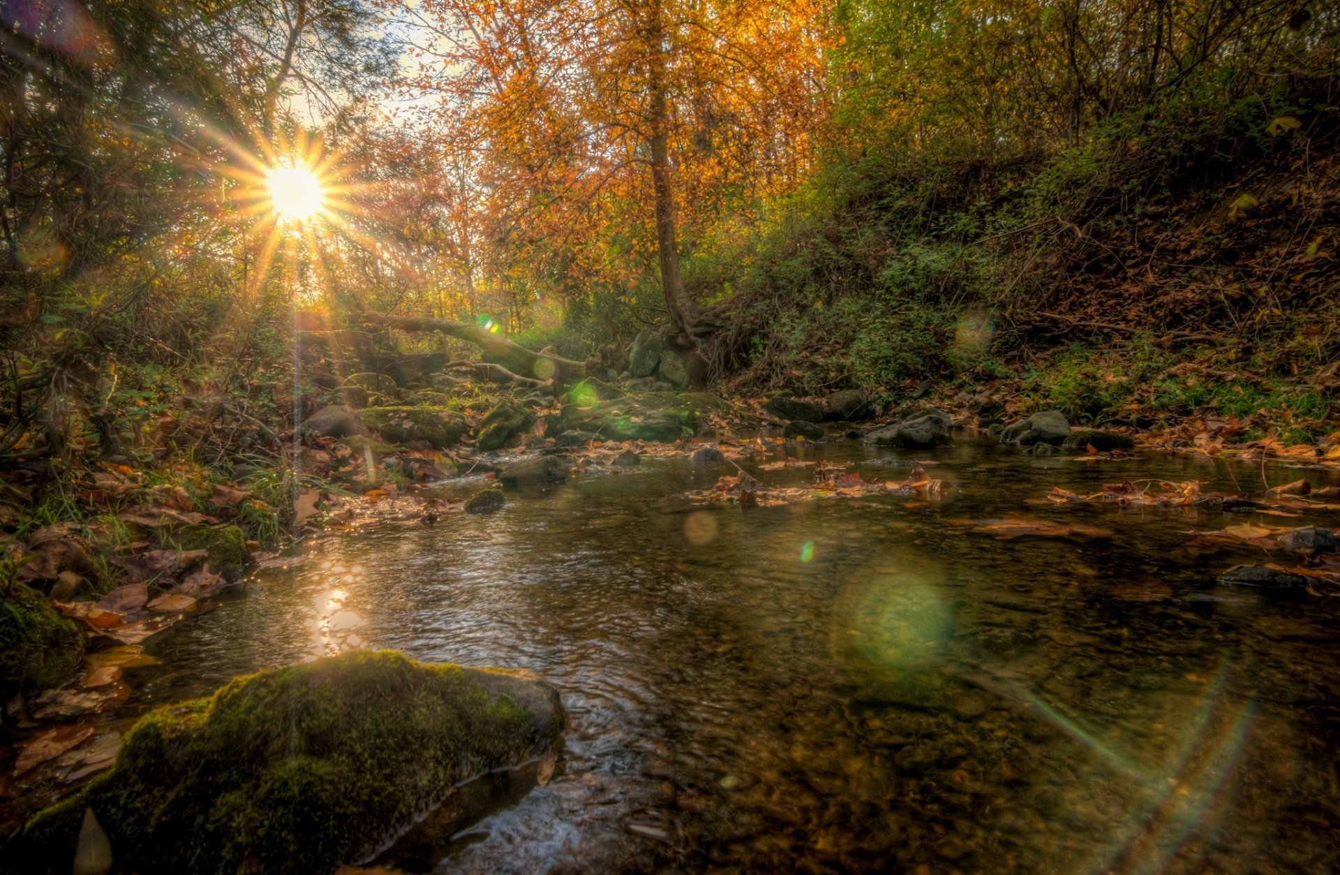 Download Stream Tree Sun Sunset Nature Waterfall HD Wallpaper