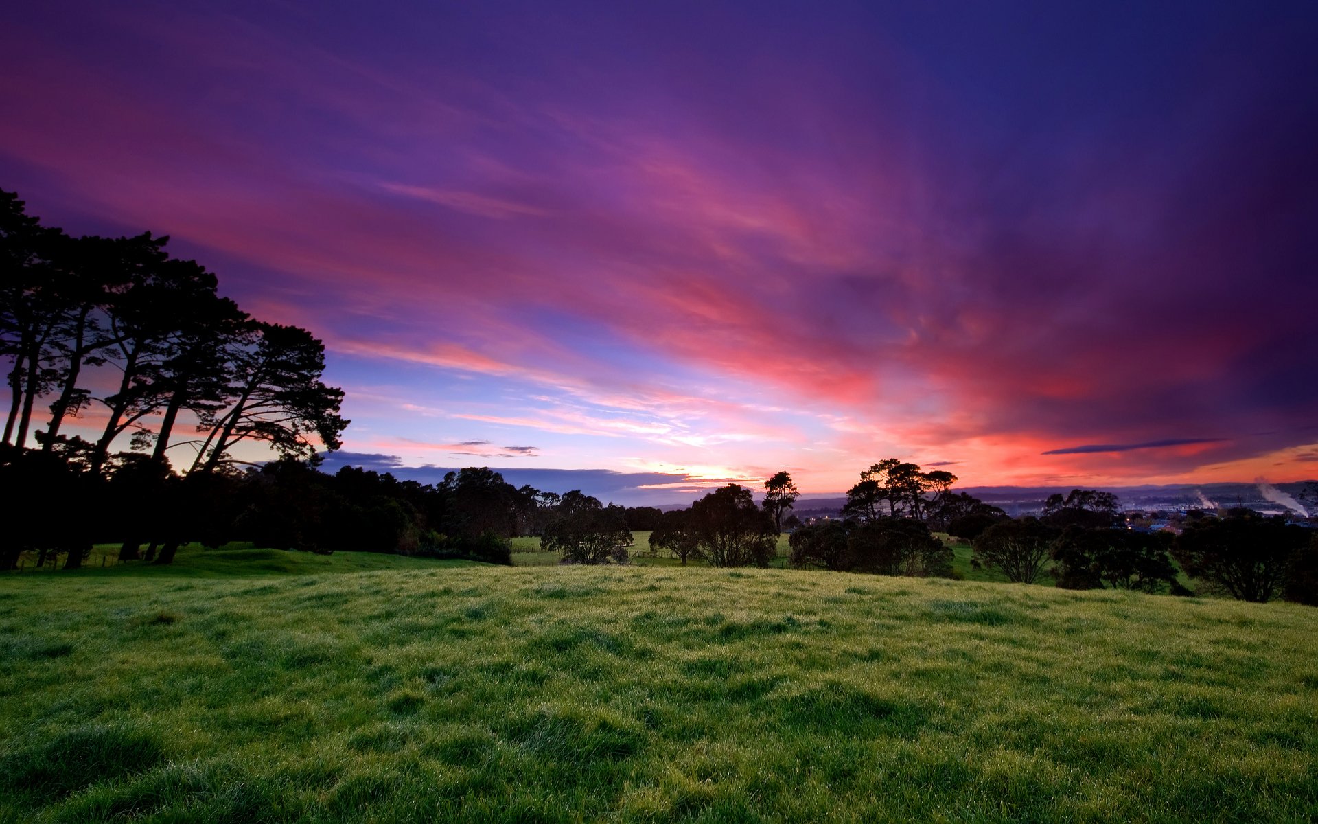 HD Nature Bliss: Serene Field at Twilight | 2560x1600 | Wallpaper Abyss