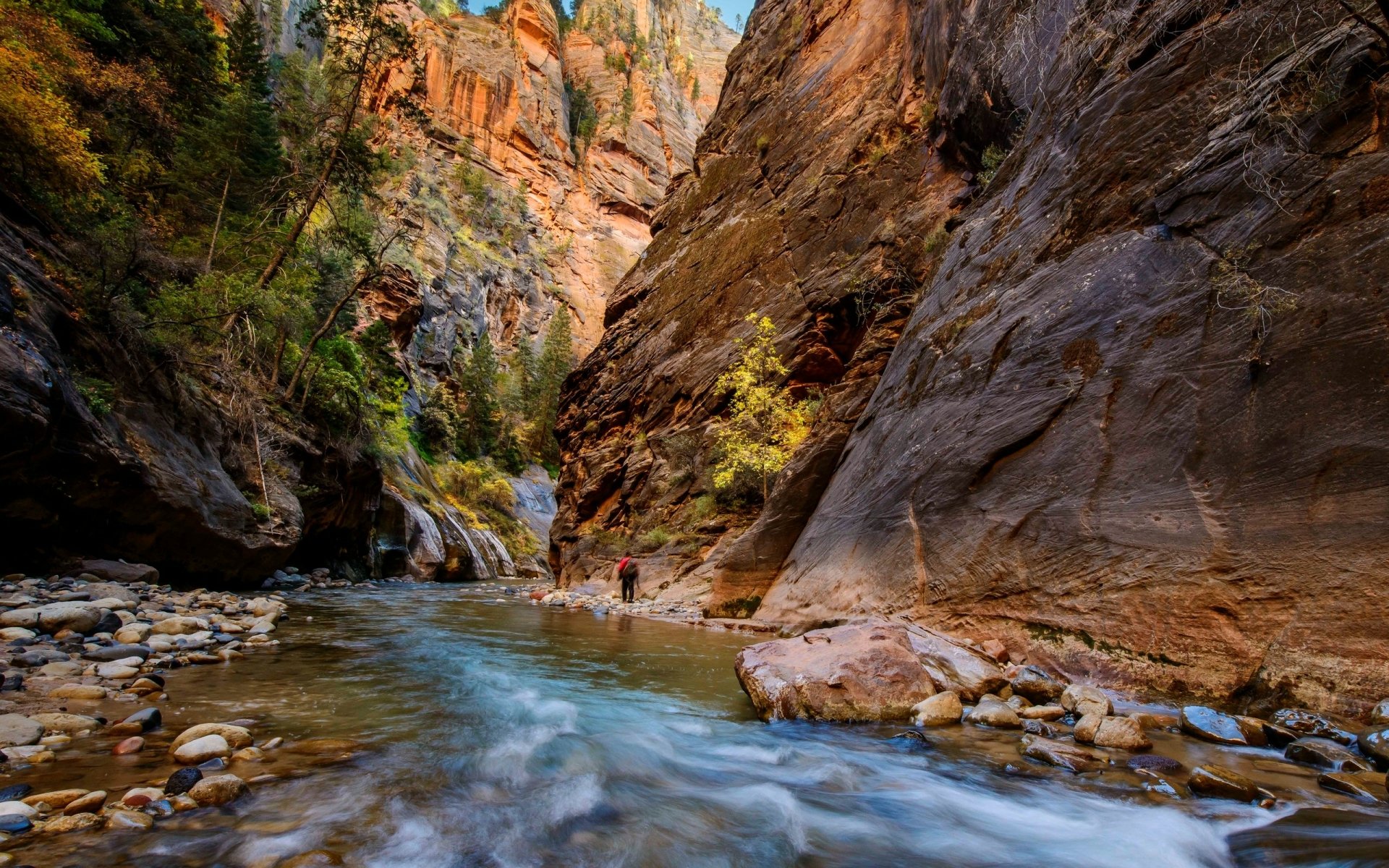 Download Nature River HD Wallpaper | 2560x1600 | Wallpaper Abyss