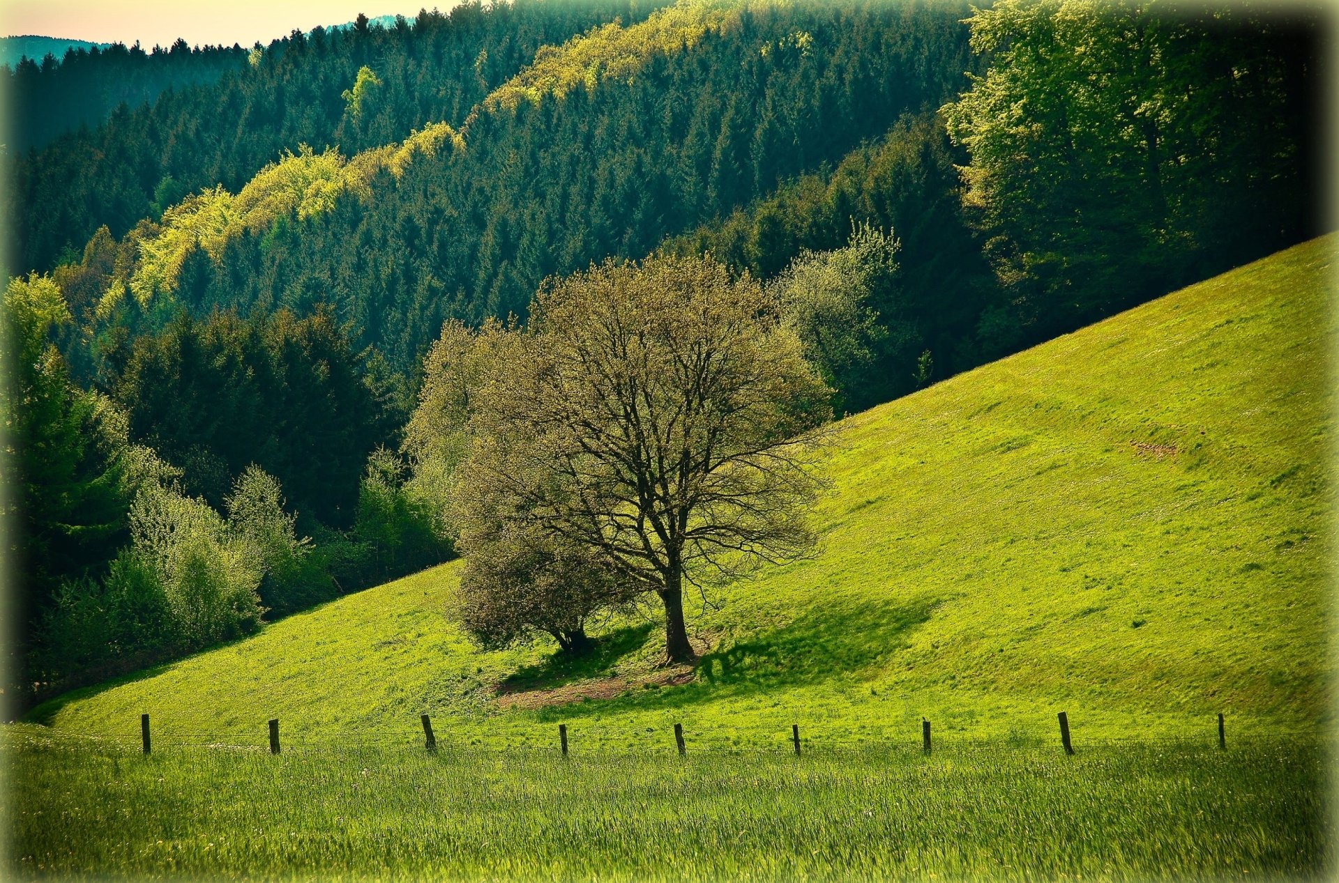 Nature Landscape HD Wallpaper