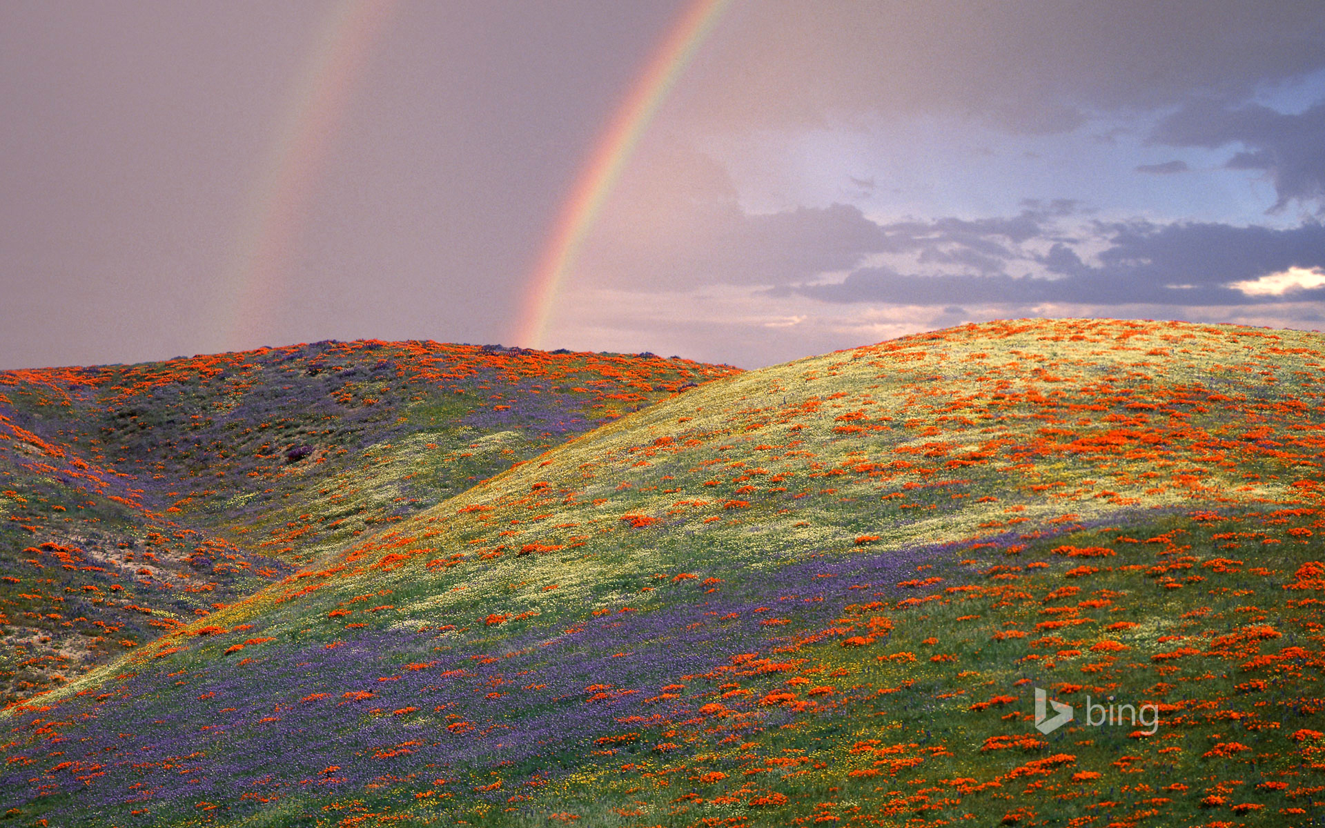 Download Nature Rainbow HD Wallpaper