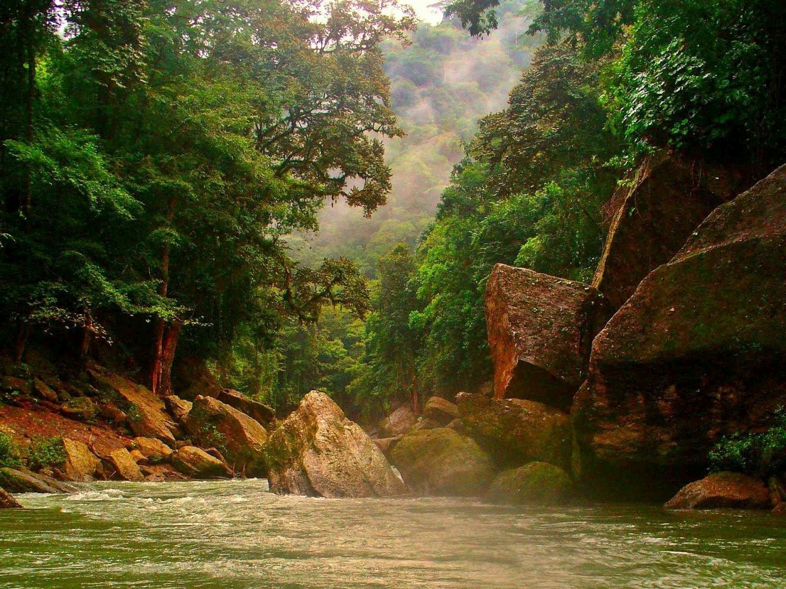 Download Nature River Wallpaper
