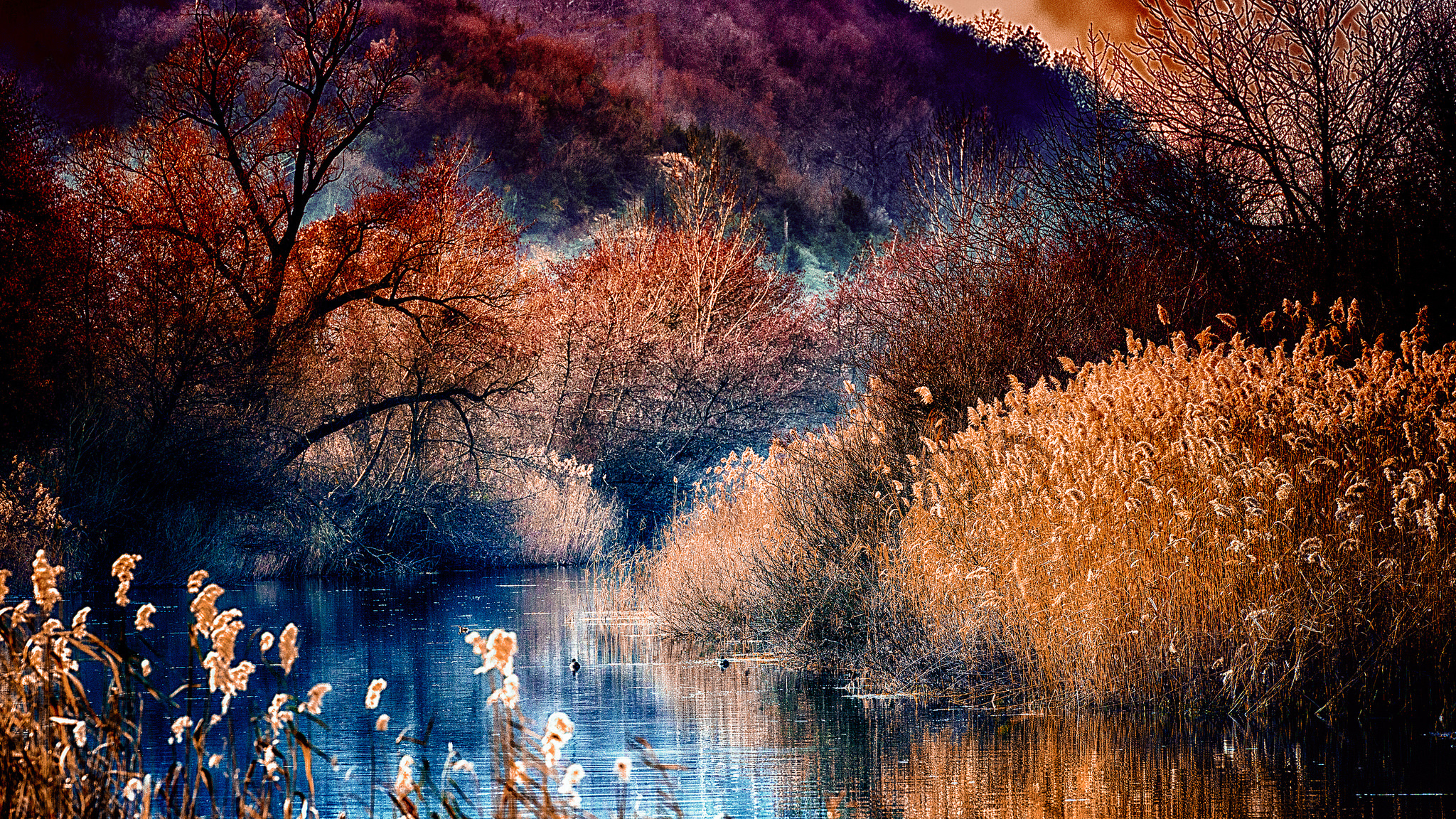 Download Nature River HD Wallpaper
