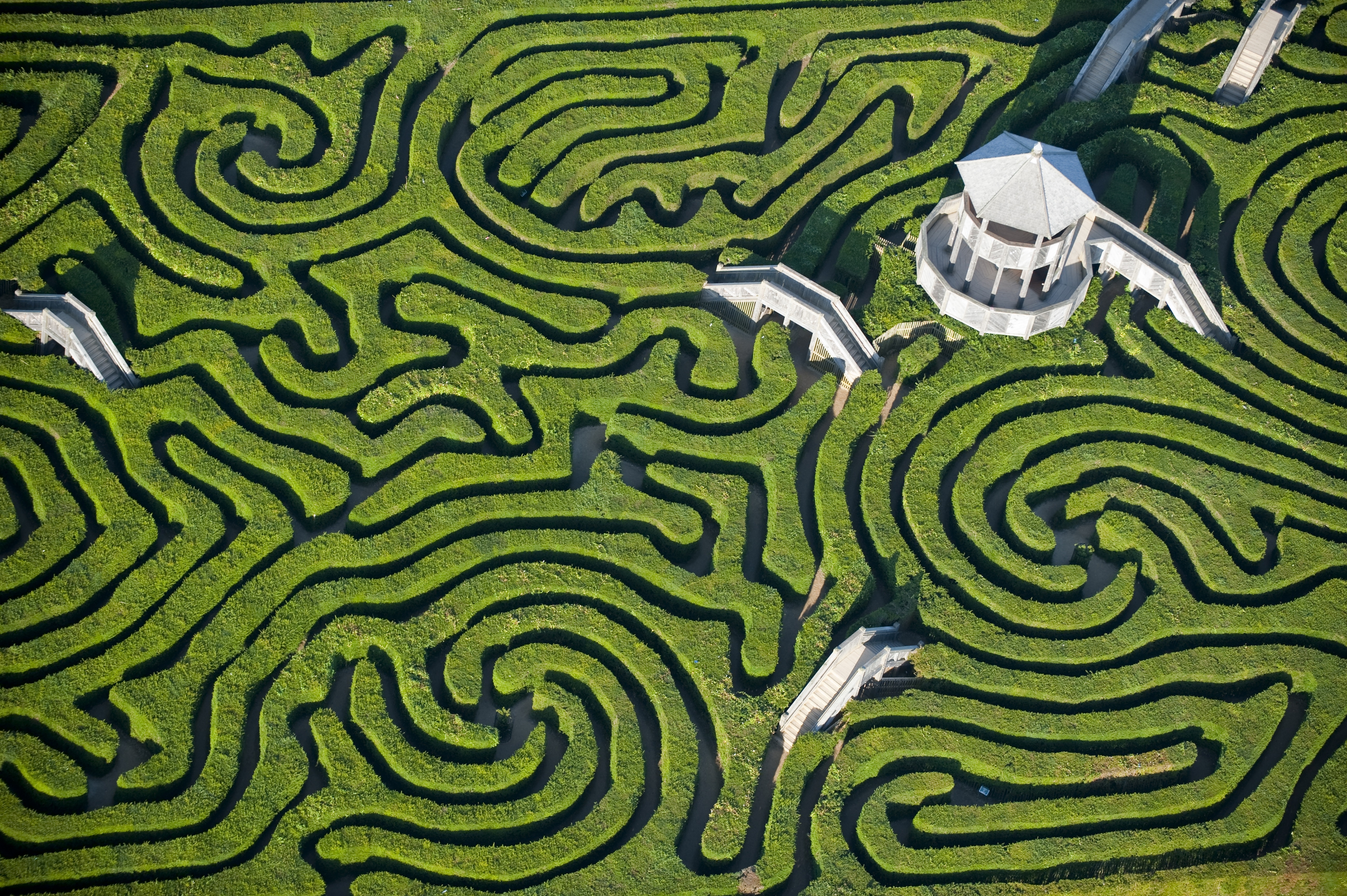 Longleat Maze 5k Retina Ultra HD Wallpaper Background Image 