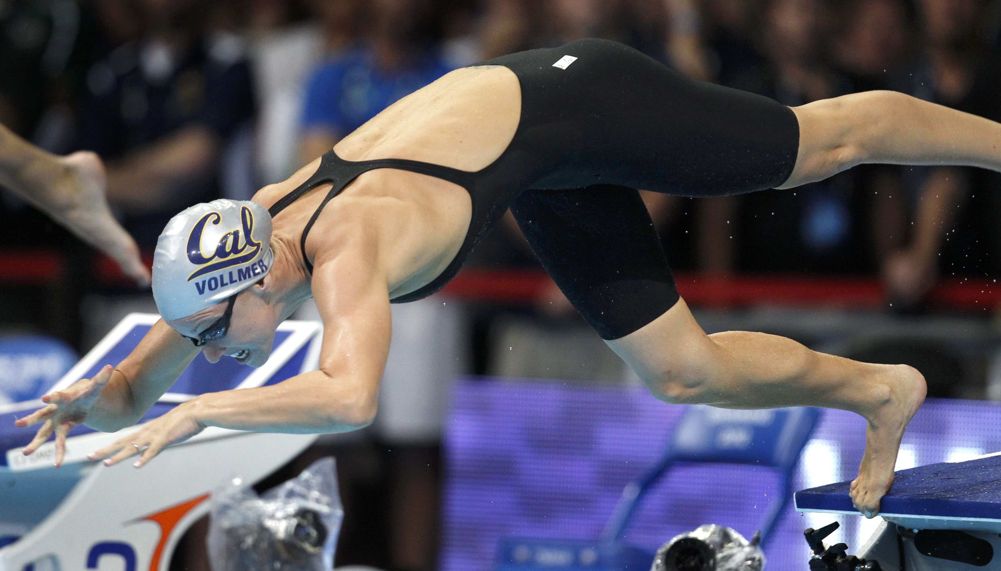 Swimming HD Wallpaper | Background Image | 3500x1996 | ID:575593 ...