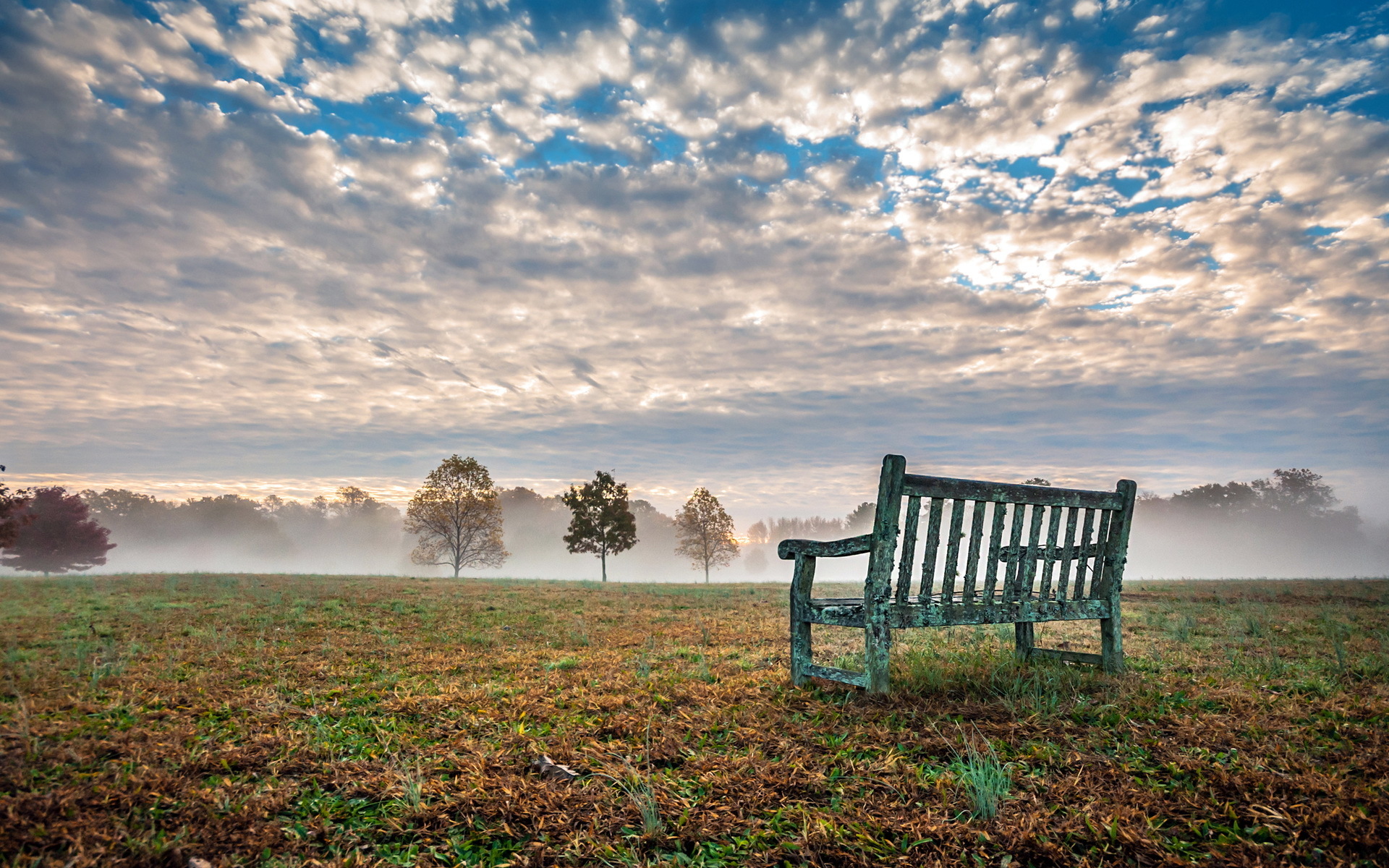 Download Man Made Bench HD Wallpaper
