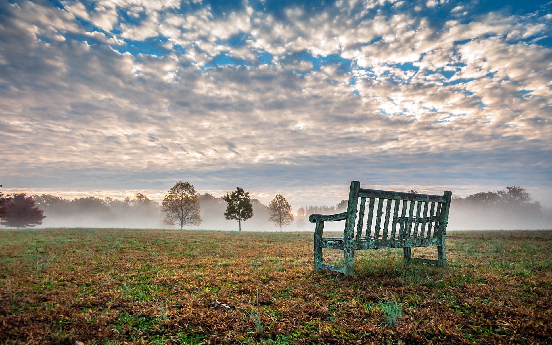 Download Man Made Bench HD Wallpaper | 1920x1200 | Wallpaper Abyss