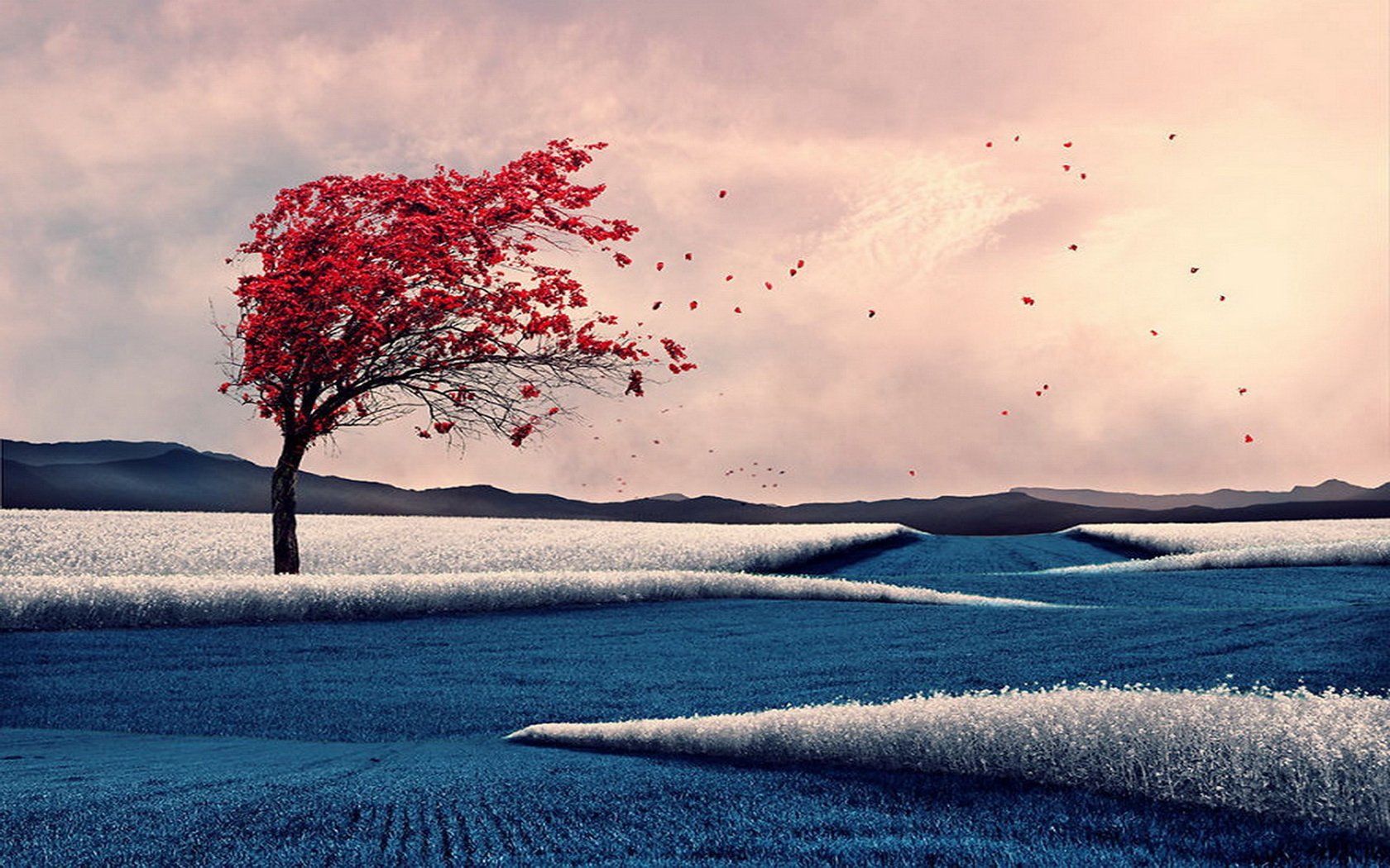 HD Serenity: Vibrant Tree Embracing the Winds of Nature | 1680x1050 ...